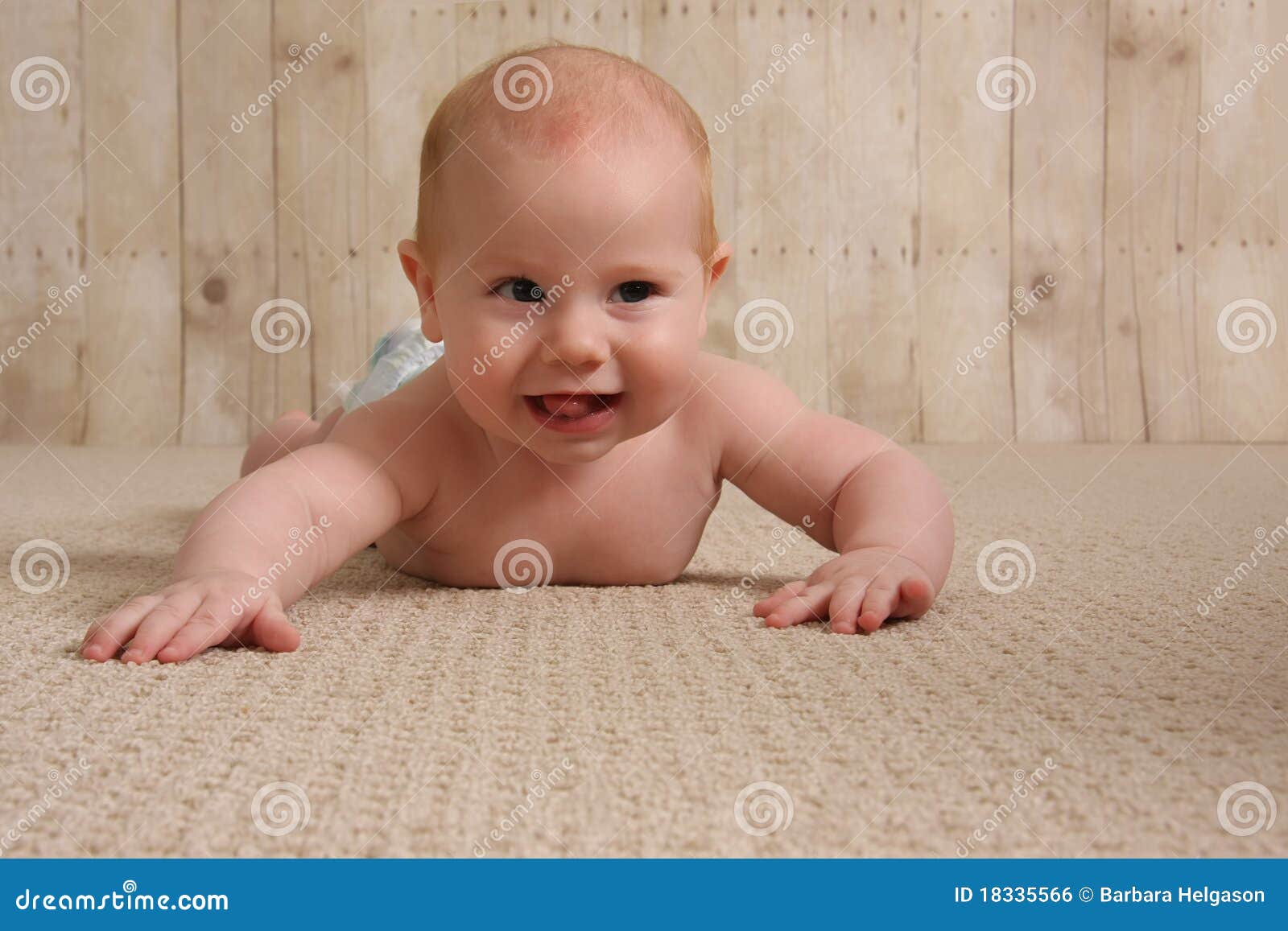 Baby boy, five months old stock photo. Image of happiness - 18335566