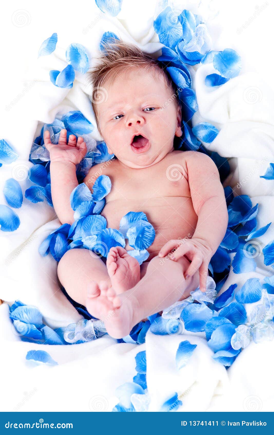 Baby boy with flowers stock image. Image of infant, security - 13741411