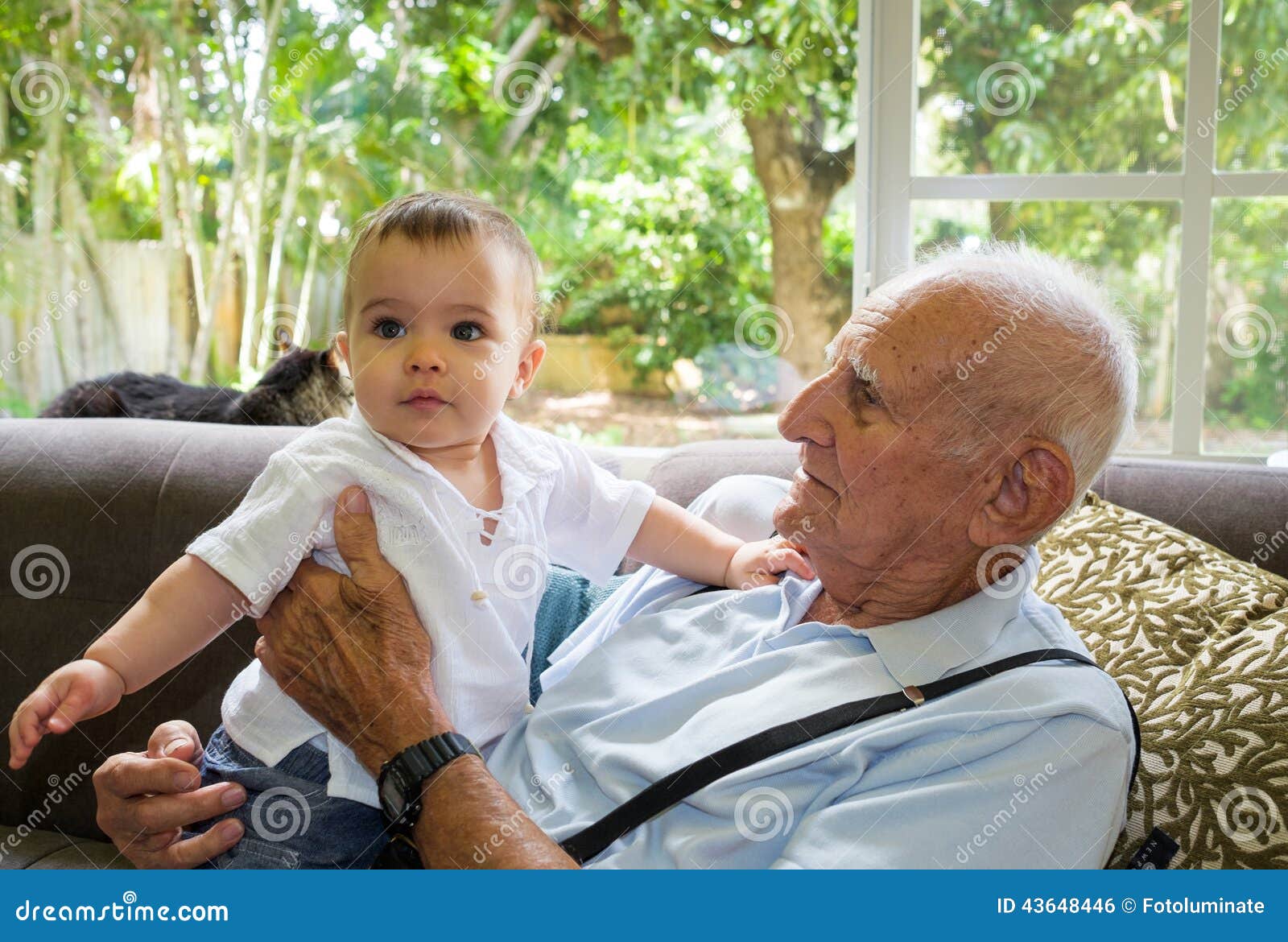 Baby Boy with Great Grandfather Stock Photo - Image of family, beauty ...