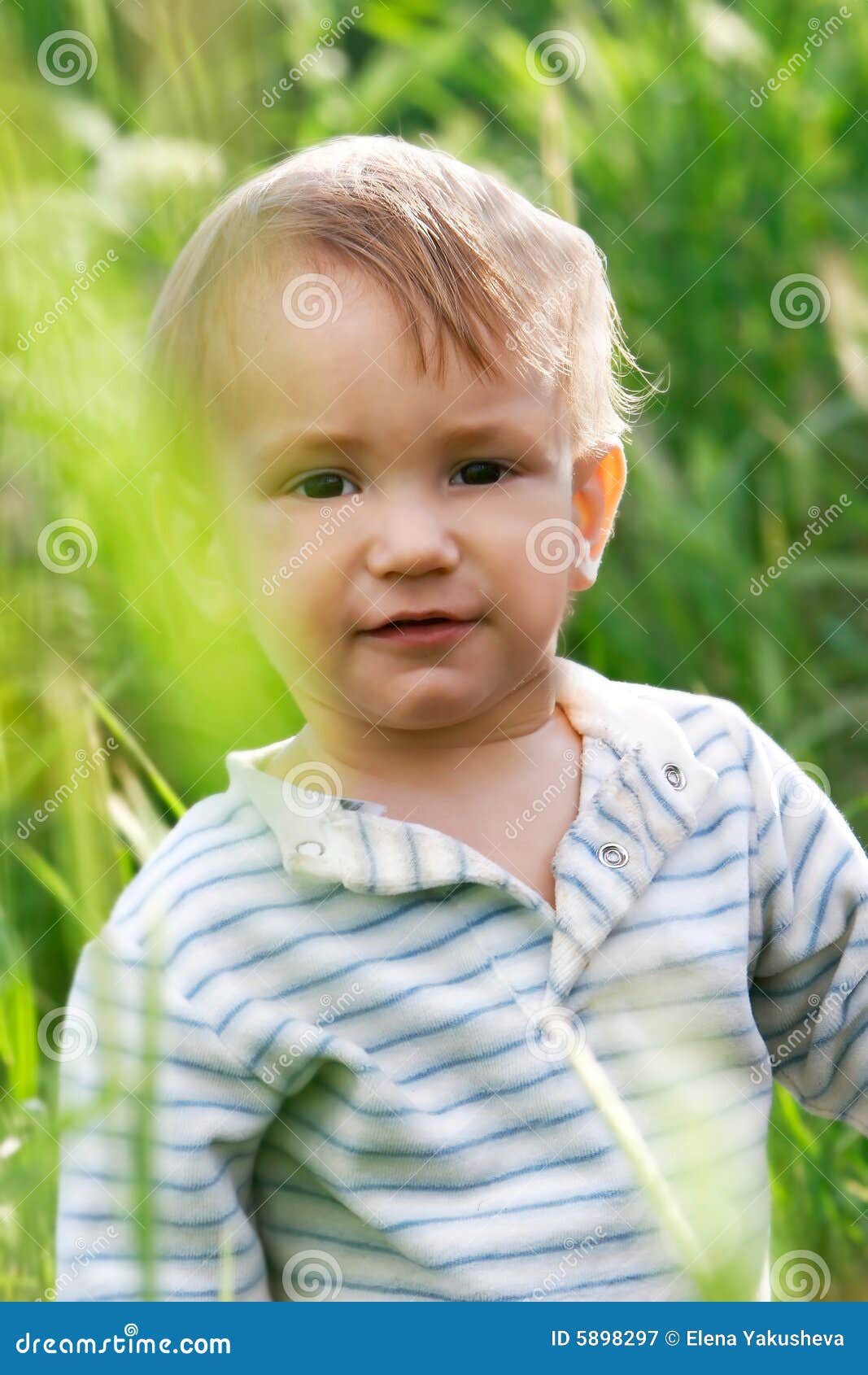 Baby boy in high grass stock image. Image of family, adoption - 5898297