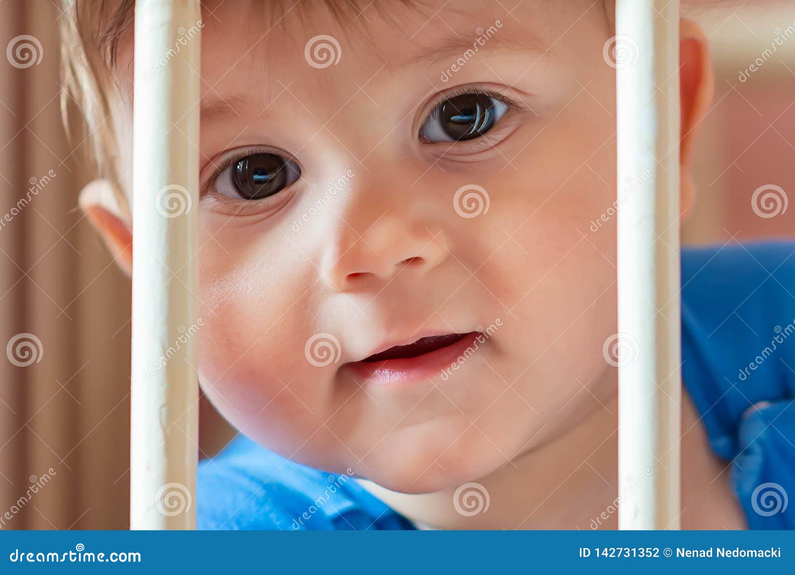 Baby boy in his crib stock photo. Image of innocence - 142731352