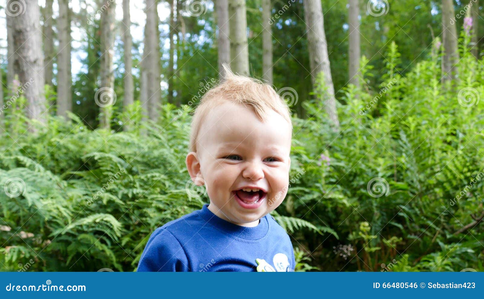 Baby boy laughing stock photo. Image of laughing, trees - 66480546