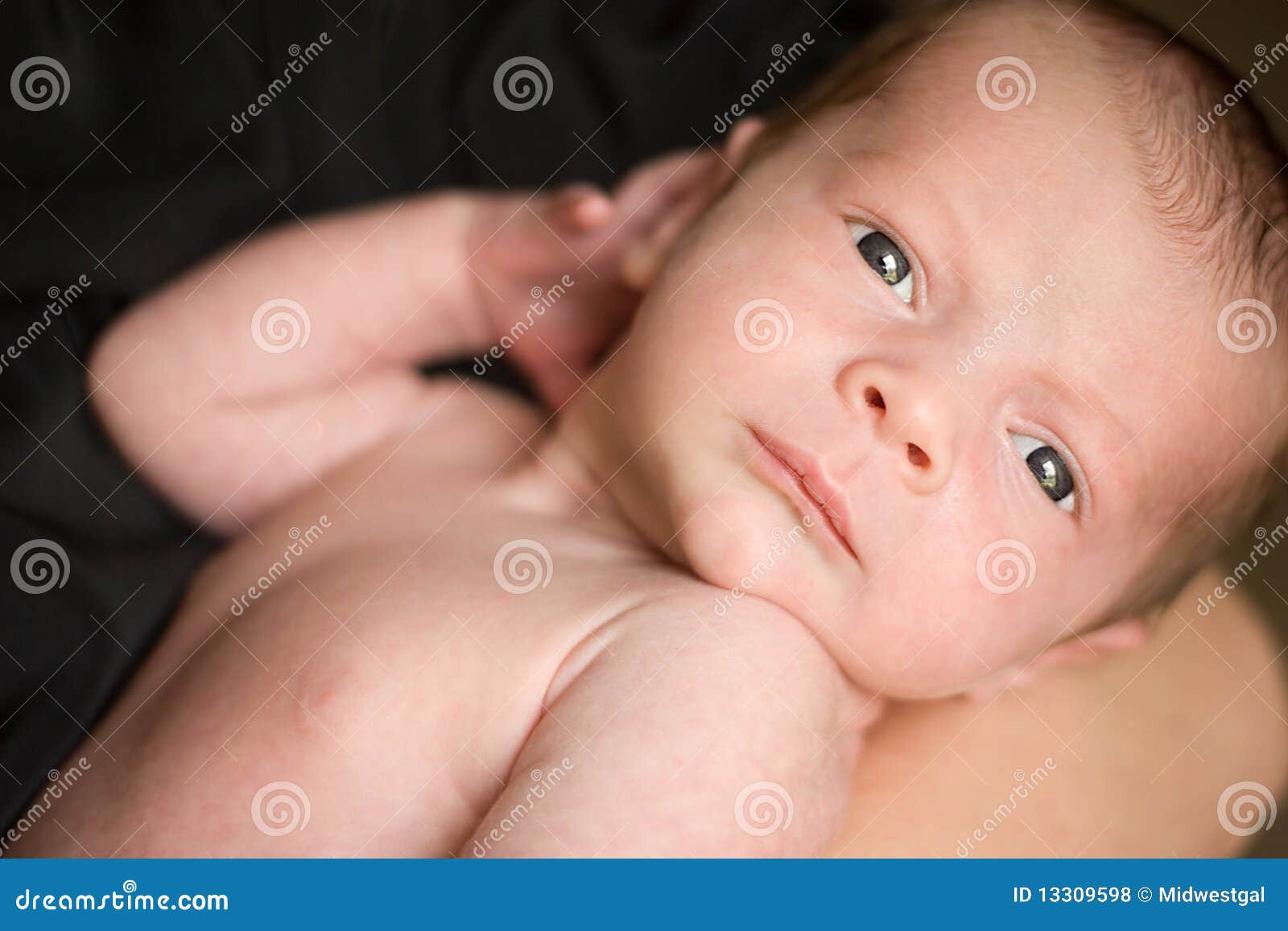 Baby Boy Looking into the Camera Stock Photo - Image of baby, newborn ...