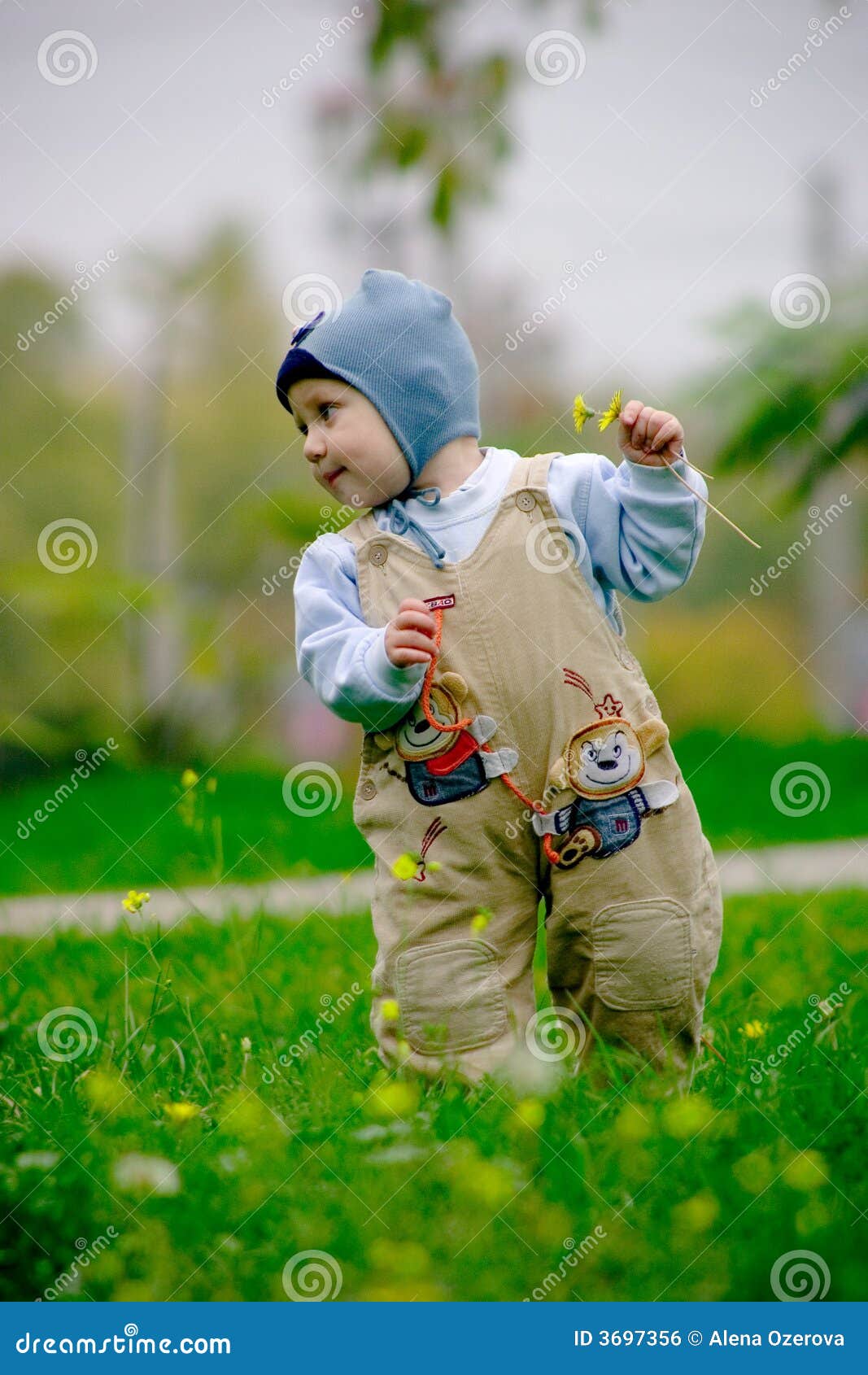Baby Boy Making First Steps Stock Photo - Image of green, discovery ...