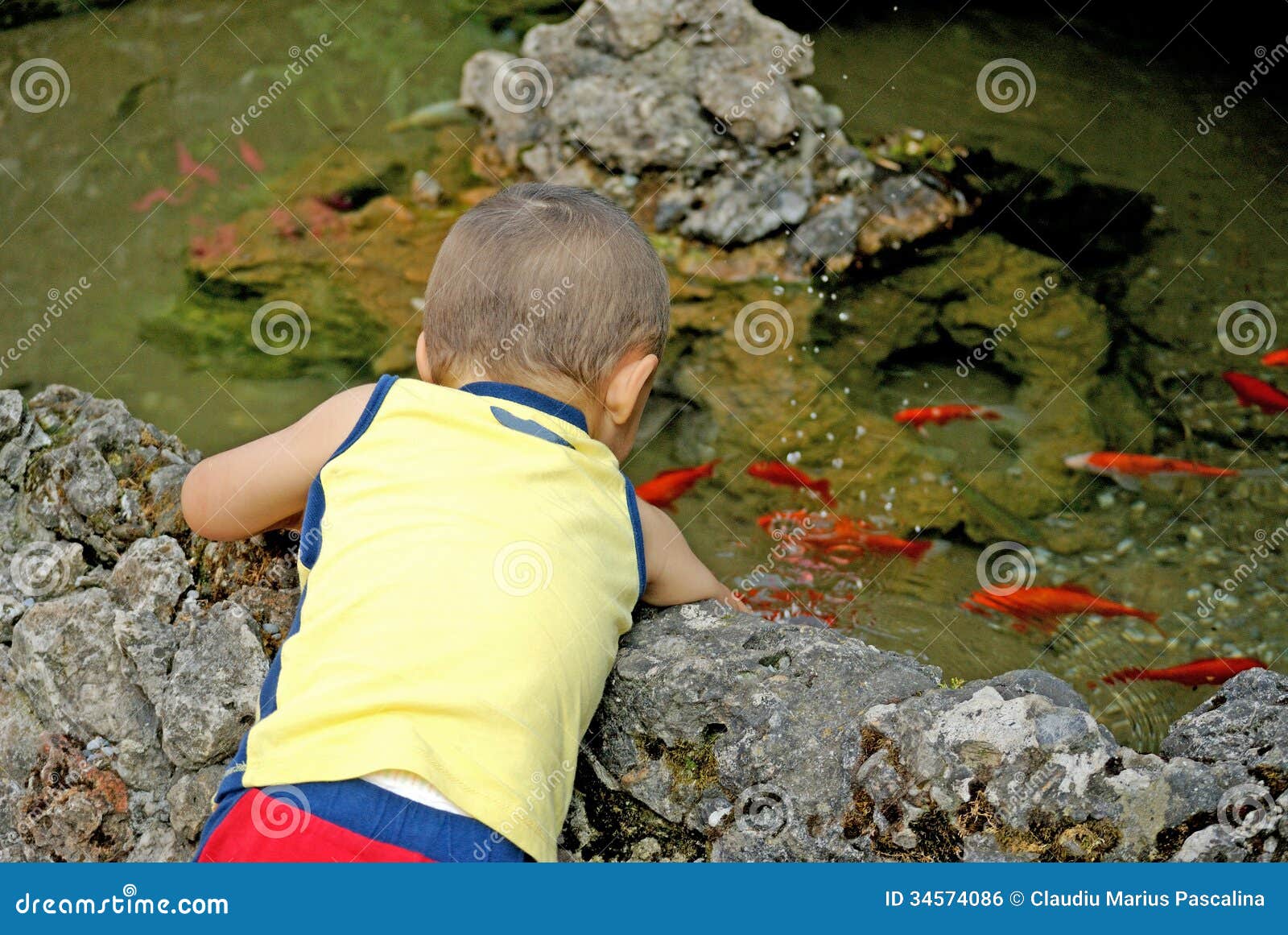 Baby boy petting fish stock photo. Image of outdoors - 34574086