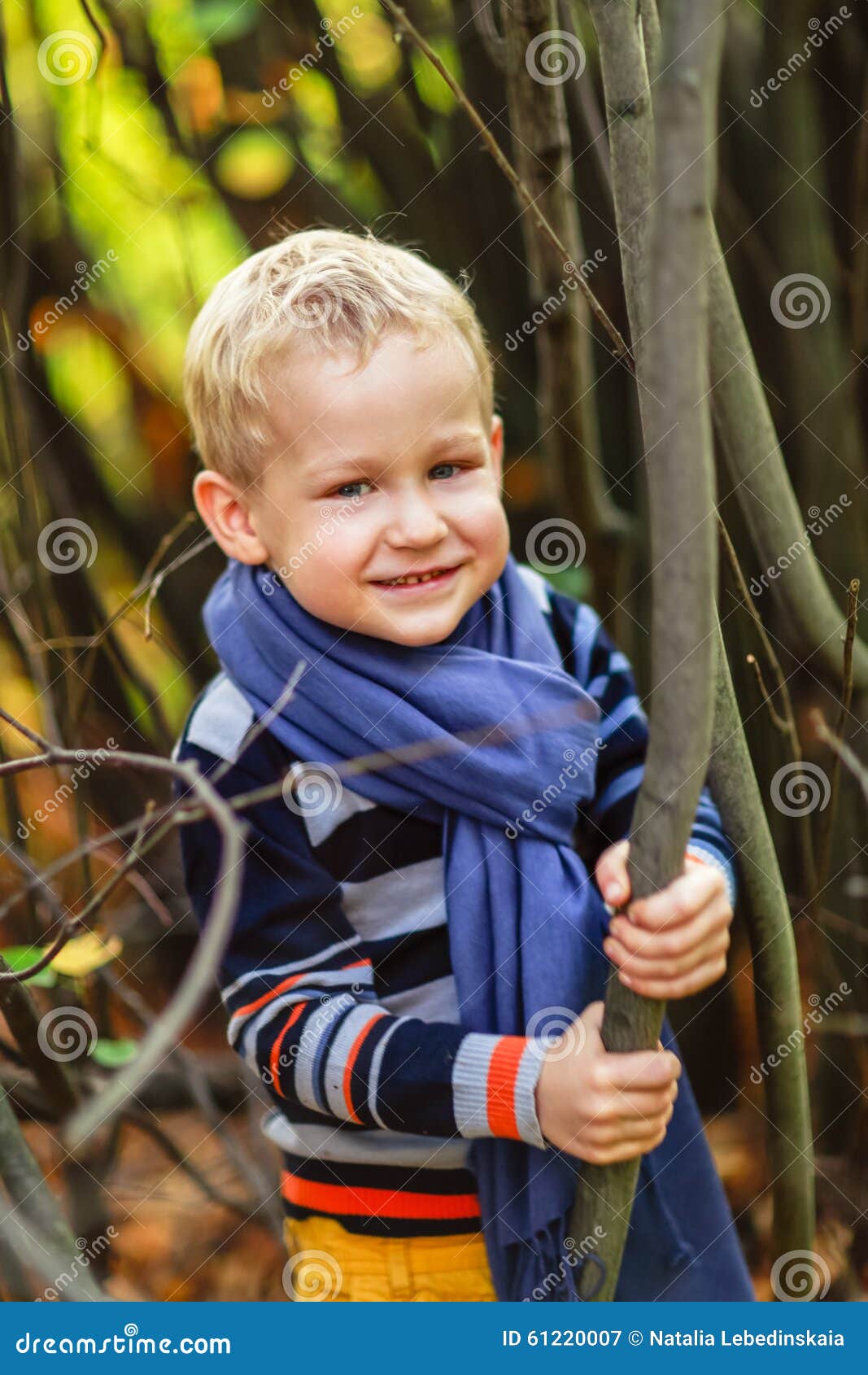 Baby Boy Playing among Tree Branches Stock Image - Image of game, play ...