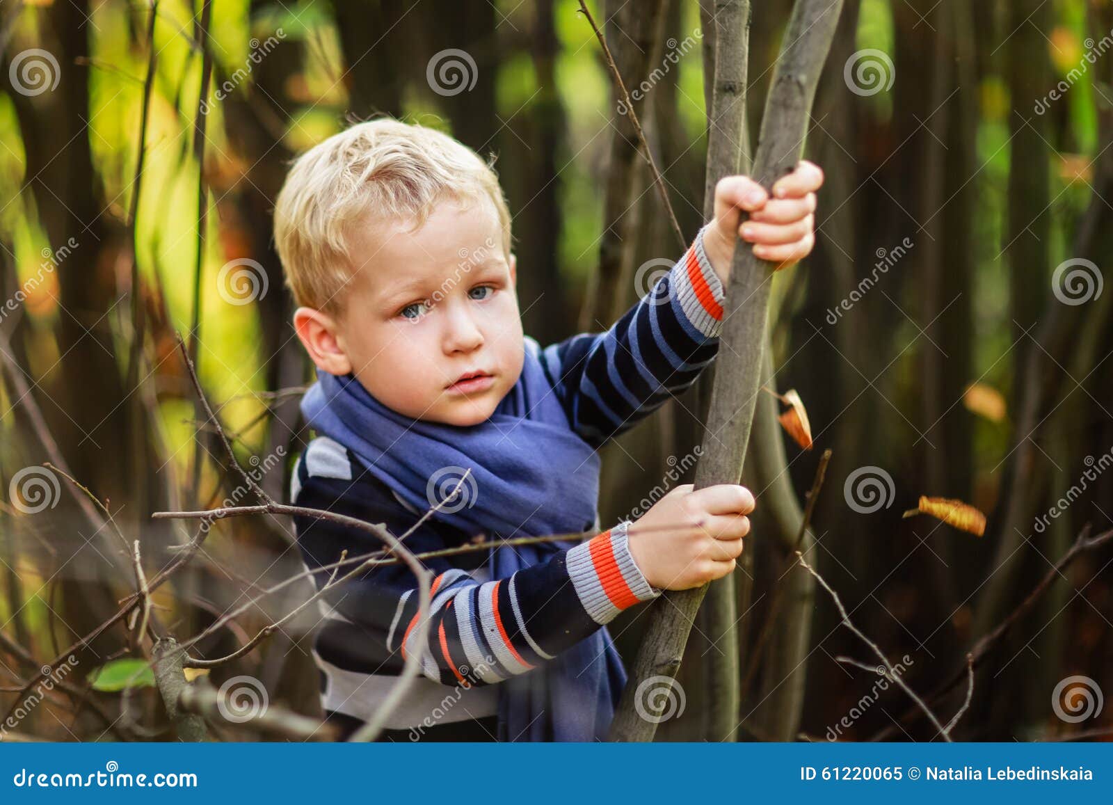 Baby Boy Playing among Tree Branches Stock Image - Image of little ...