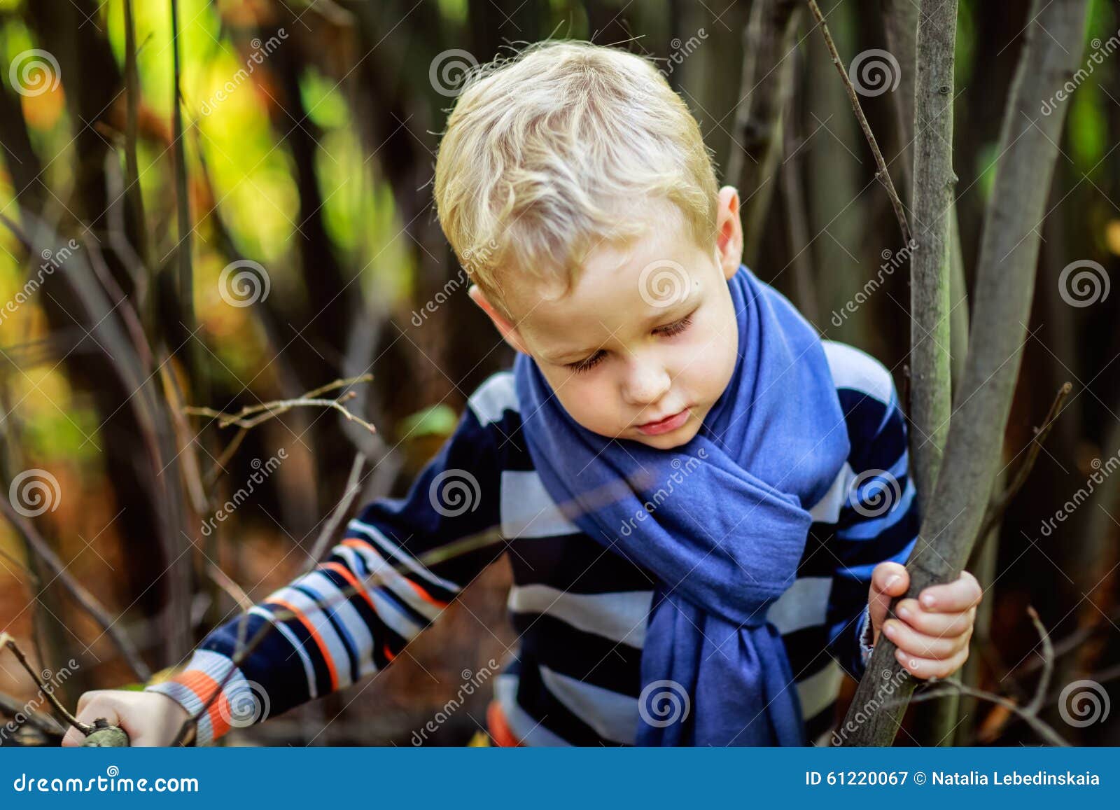 Baby Boy Playing among Tree Branches Stock Image - Image of cute, game ...