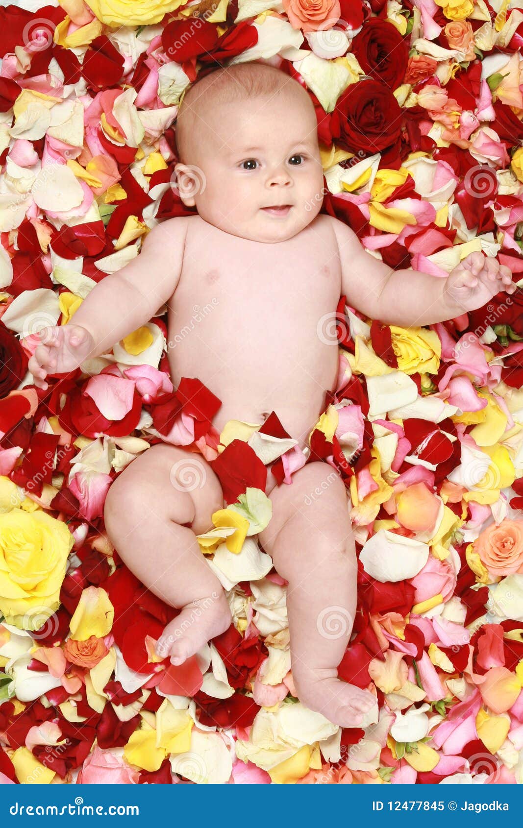 Baby boy in a rose plants stock image. Image of rose - 12477845