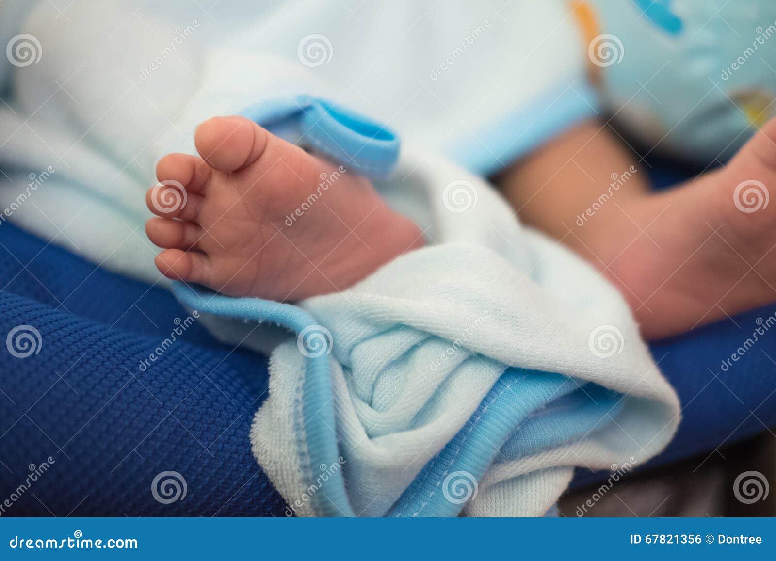 Baby boy s small feet stock photo. Image of tiny, human - 67821356