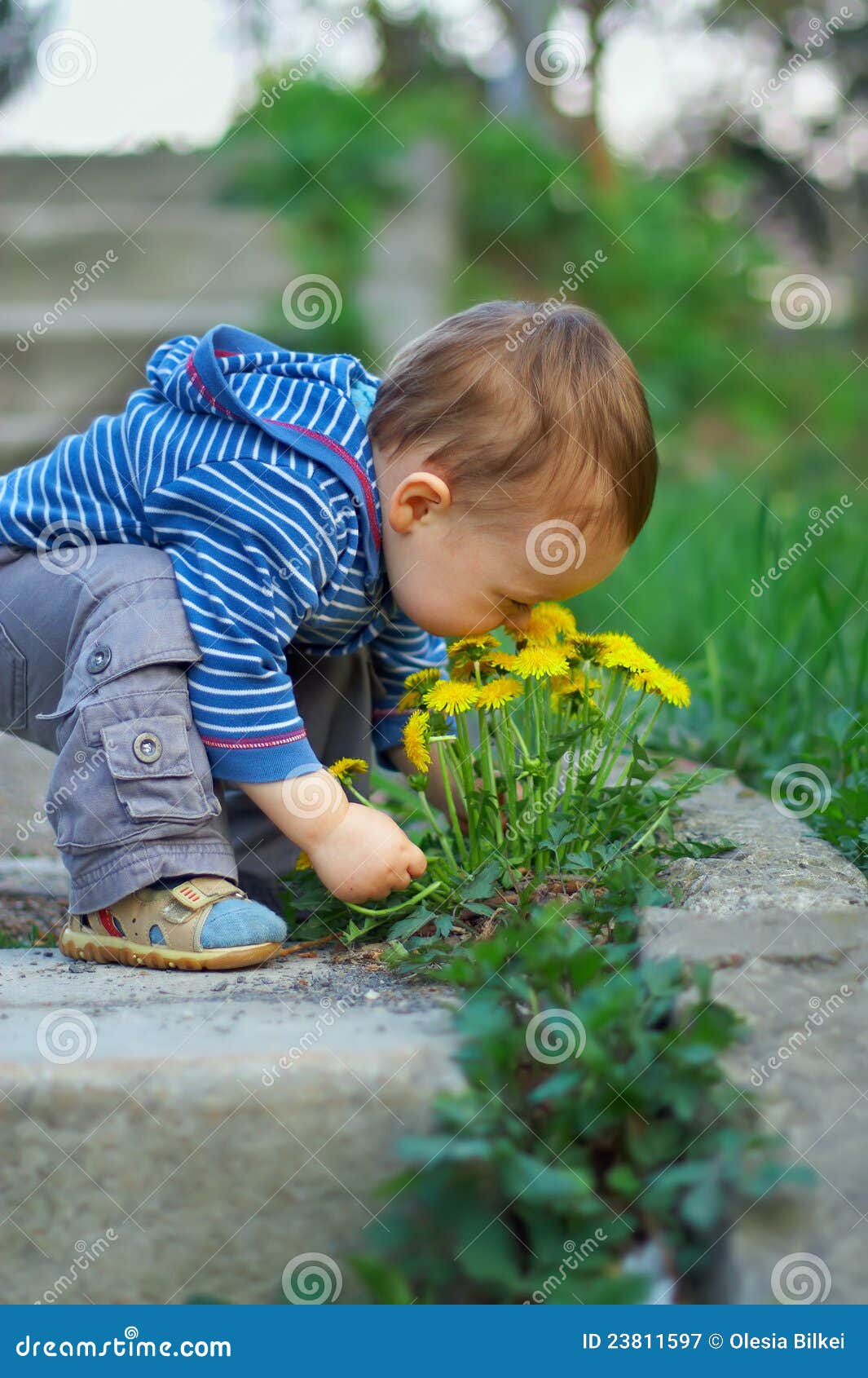 Baby Boy Sniffing Dandelions in Spring Park Stock Image - Image of ...