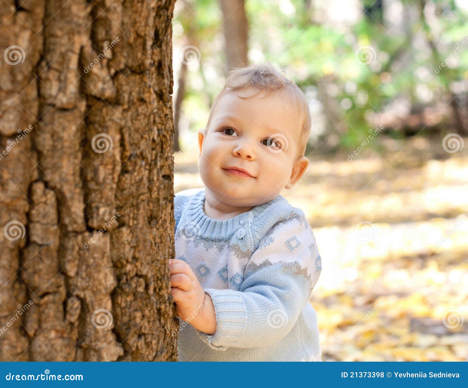 Baby Boy Standing Near Tree in Autumn Park Stock Photo - Image of ...
