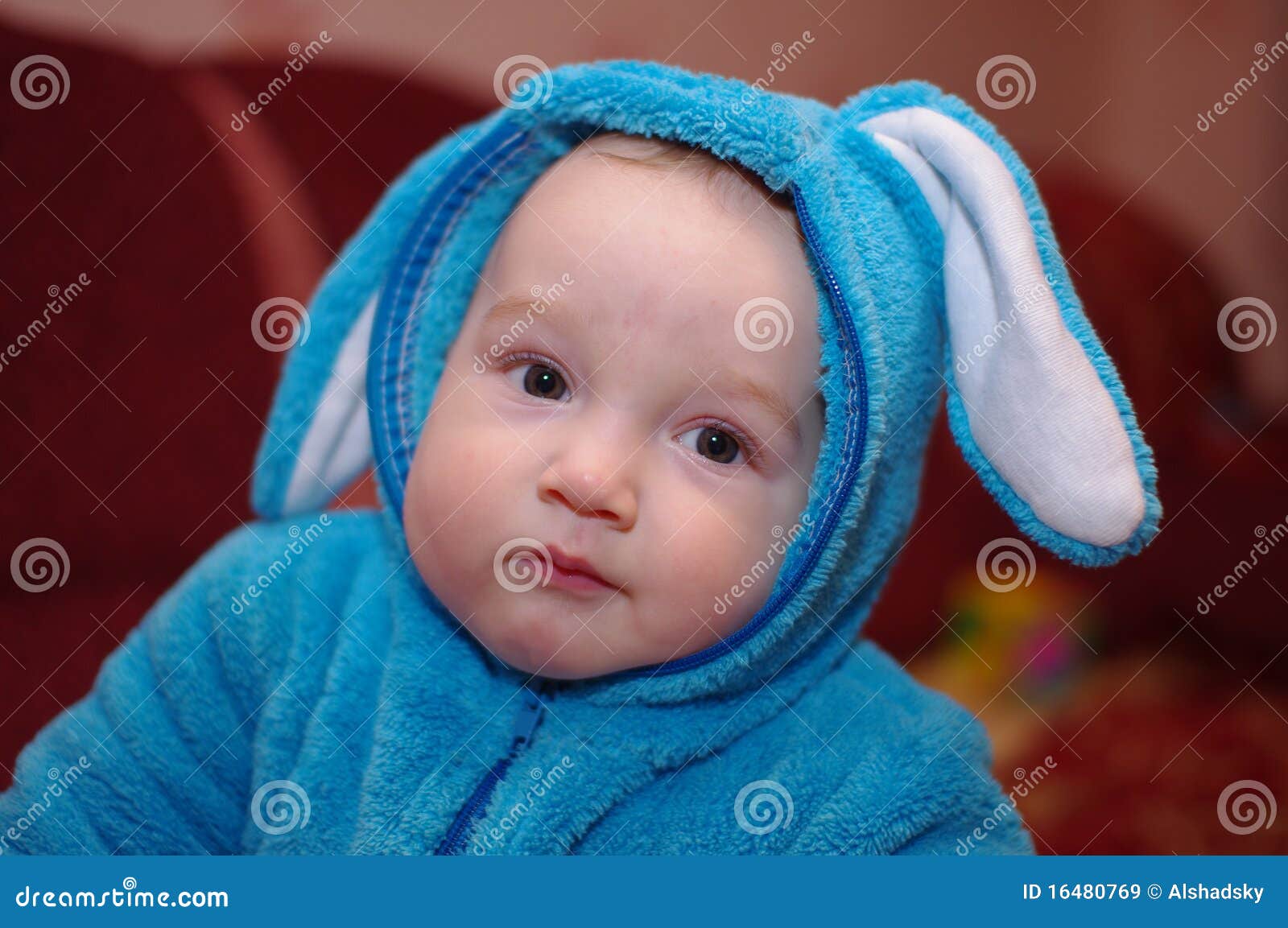 Baby Boy in Suit of the Rabbit Stock Image - Image of beautiful, care ...