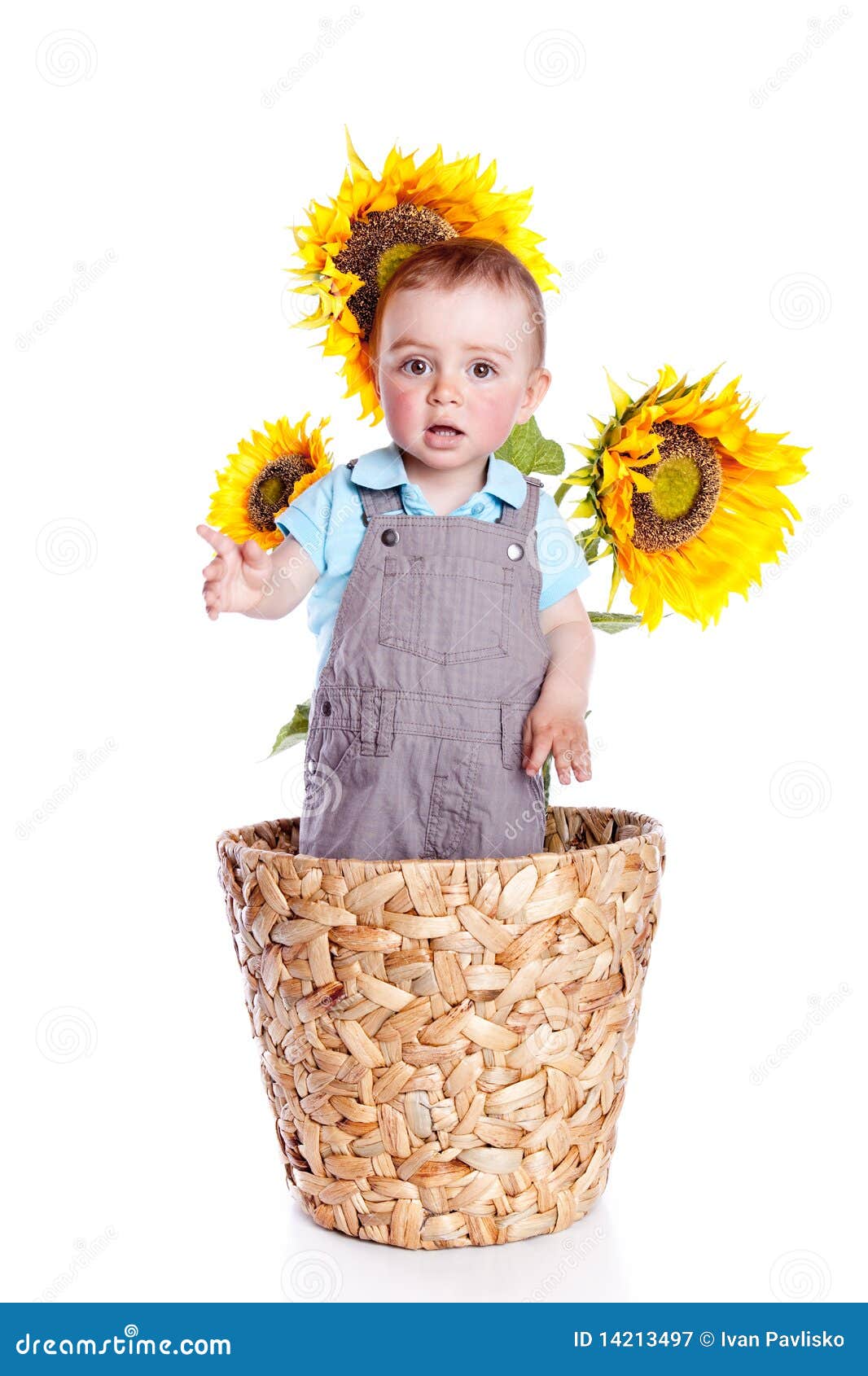 Baby boyl in sunflowers stock image. Image of child, sunflower - 14213497