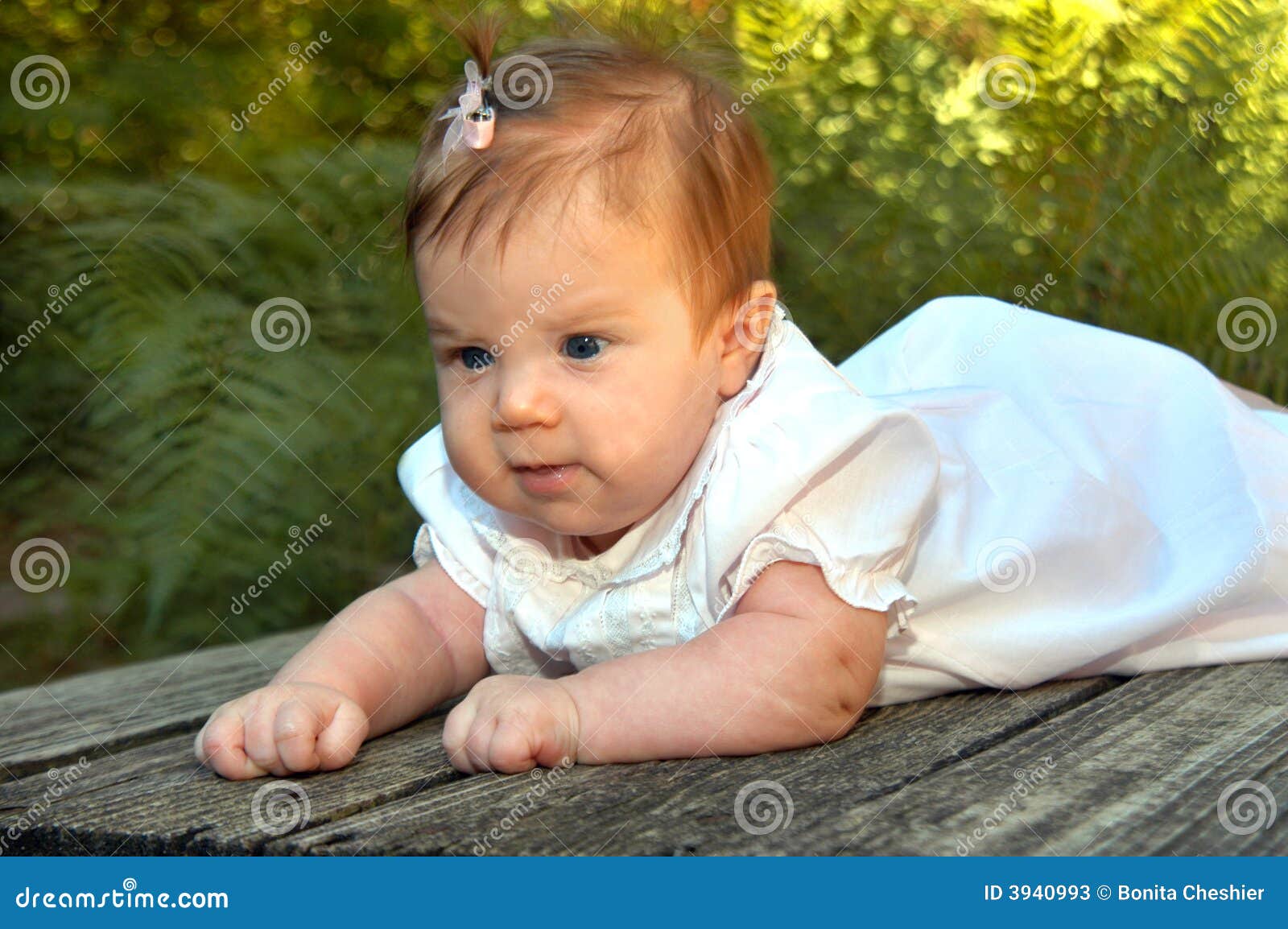 Baby on Bridge stock image. Image of looking, sweet, outdoors - 3940993
