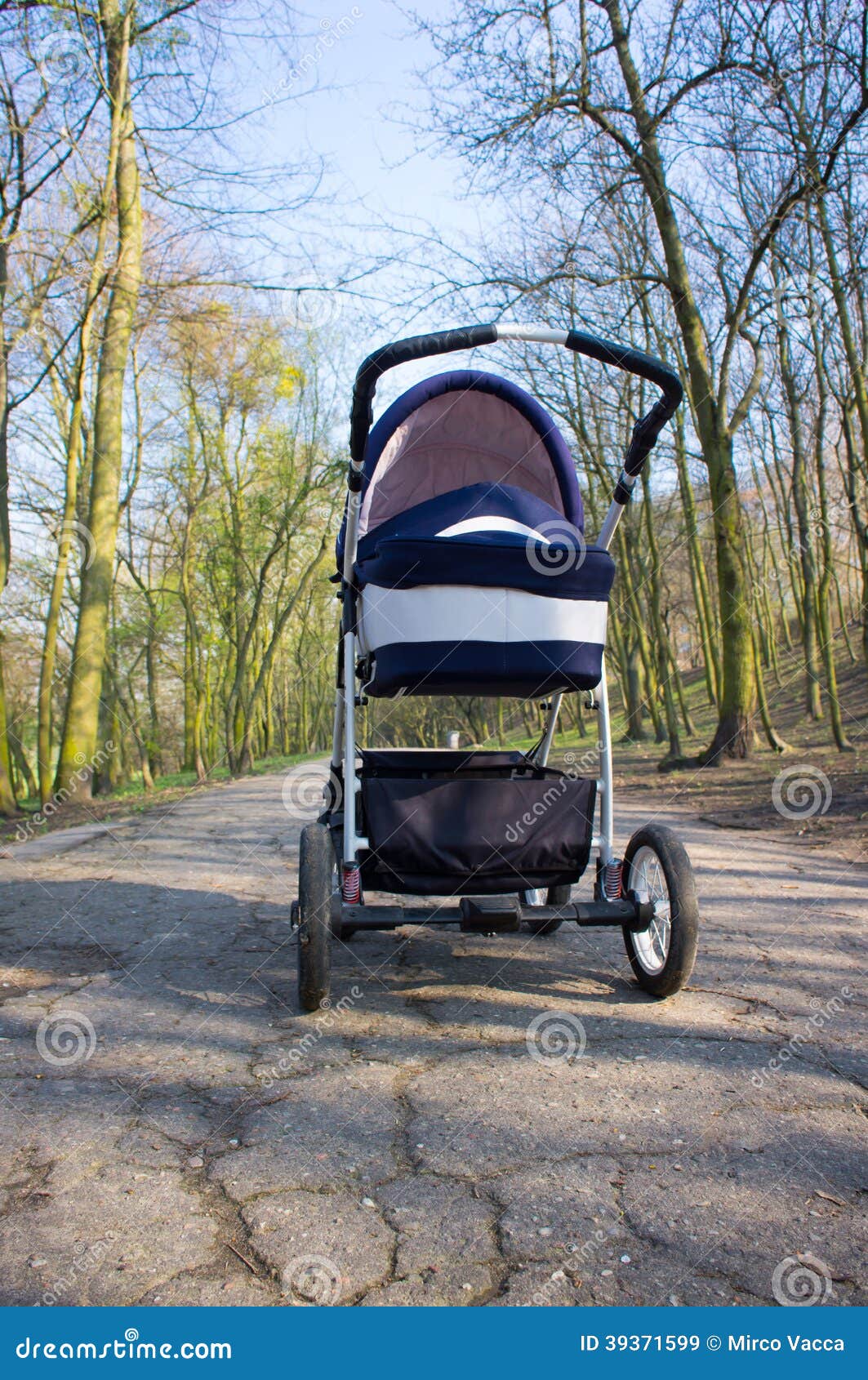 Baby buggy stock image. Image of buggy, natural, nature - 39371599