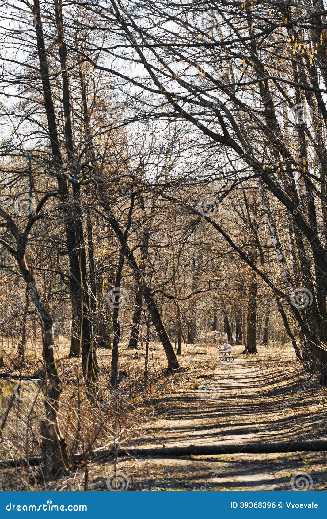 Baby Buggy and Walking Path in Urban Park Stock Photo - Image of people ...