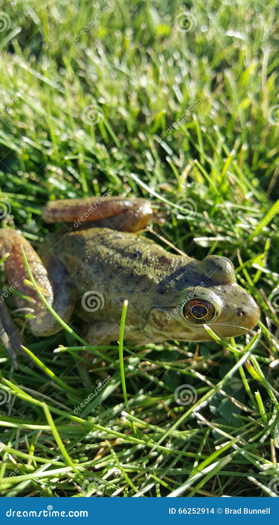 Hopping Blending Stock Photos - Free & Royalty-Free Stock Photos from ...