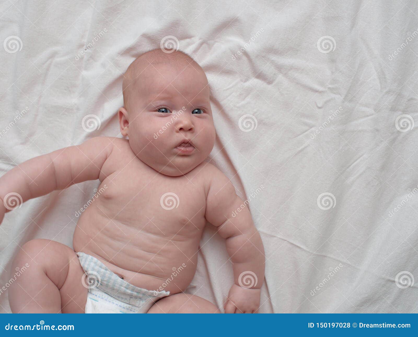 Baby bully. stock photo. Image of cute, bully, love - 150197028
