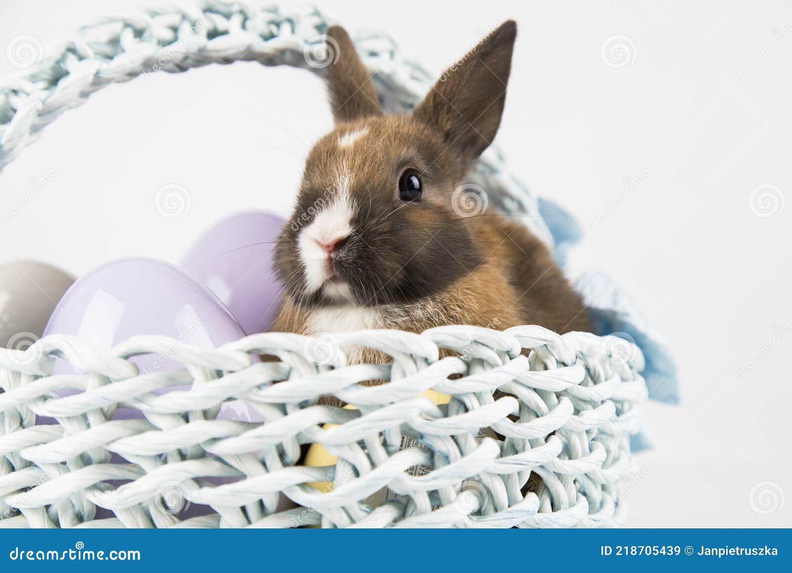 Baby Bunnies in a Basket stock image. Image of little - 218705439