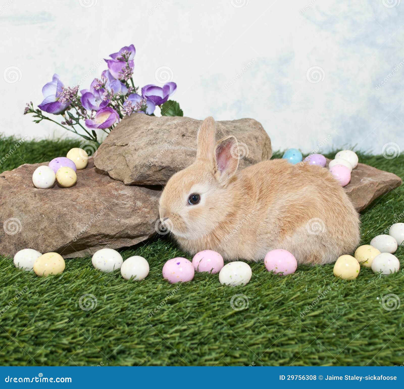 Little Easter Bunny stock photo. Image of cute, card - 29756308