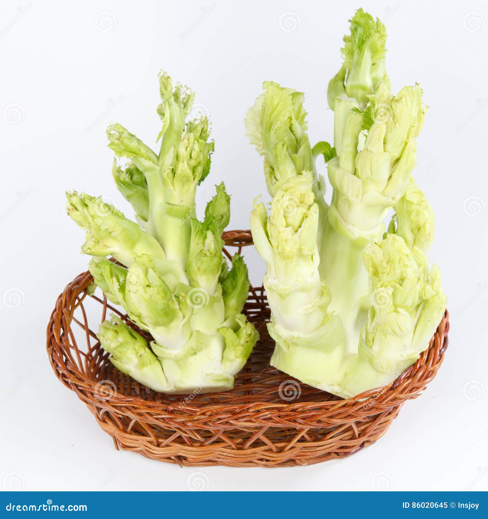 Baby cabbage stock image. Image of leaf, green, choi - 86020645