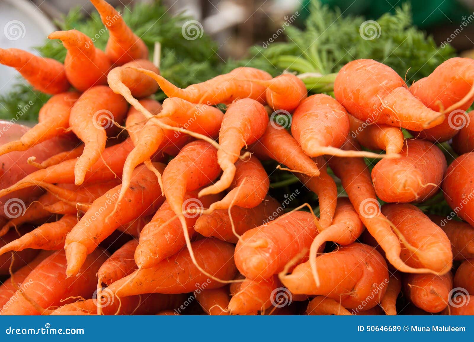 Baby carrot stock image. Image of lifestyle, food, freshness - 50646689