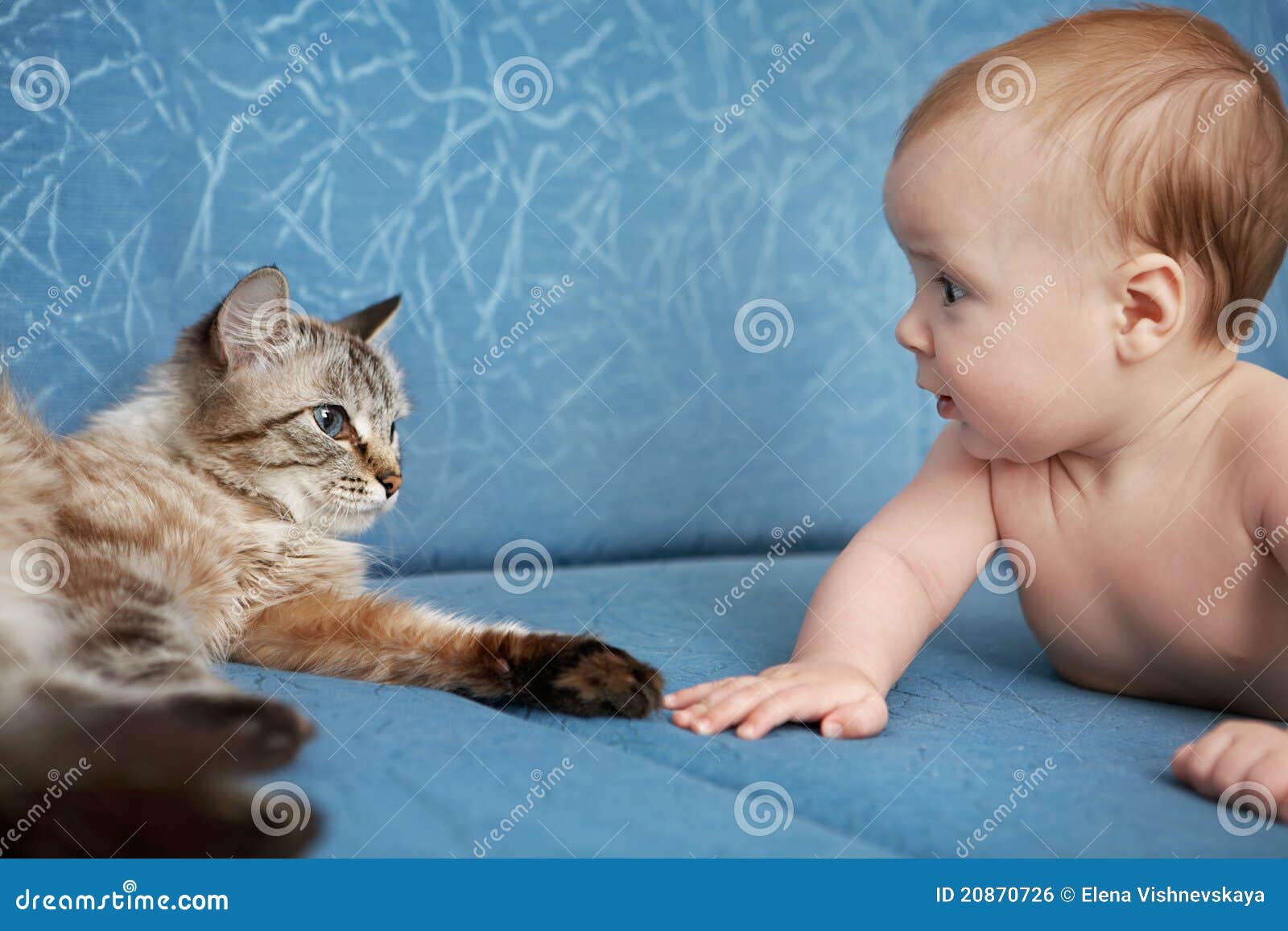 Baby and cat stock photo. Image of furry, watching, childhood - 20870726