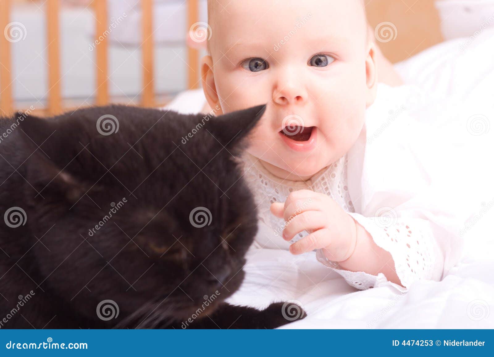 Baby and cat stock image. Image of white, beautiful, black - 4474253