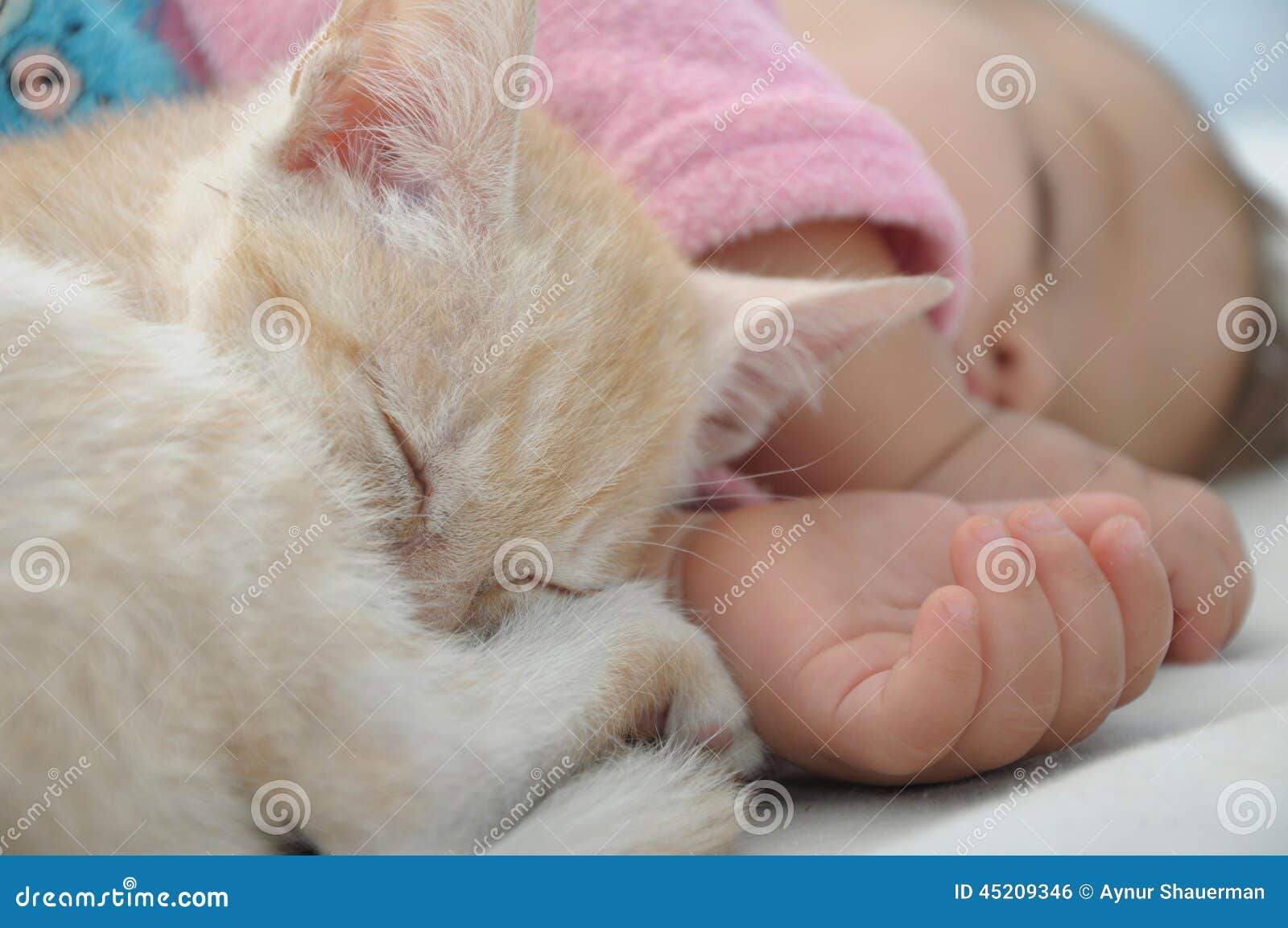 Baby and Cat Daytime Sleeping Stock Photo - Image of little, pink: 45209346