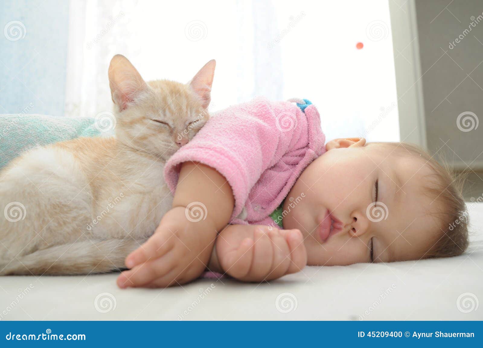Baby and Cat Daytime Sleeping Stock Photo - Image of alone, together ...