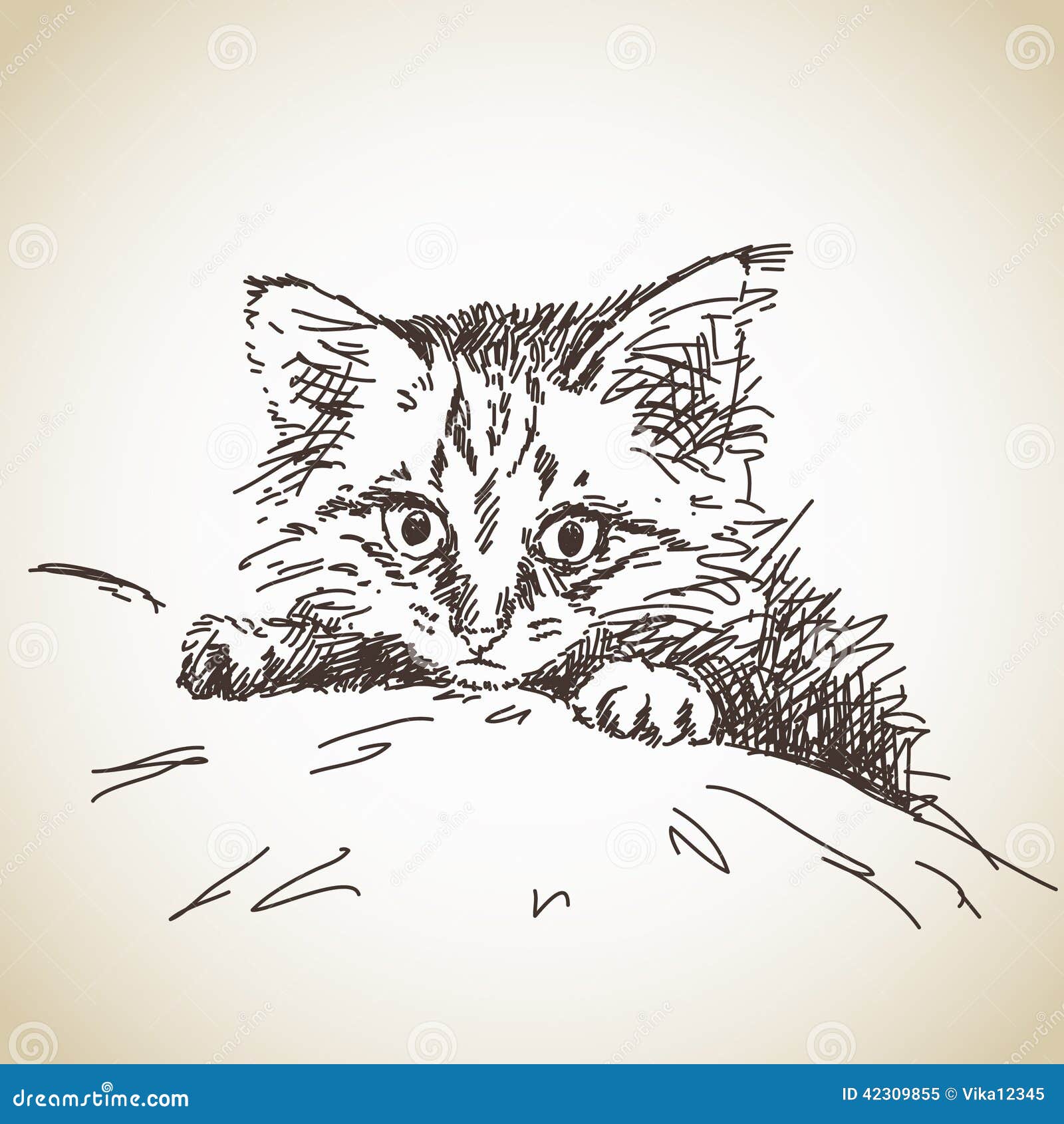 Baby cat stock vector. Illustration of draw, predator - 42309855