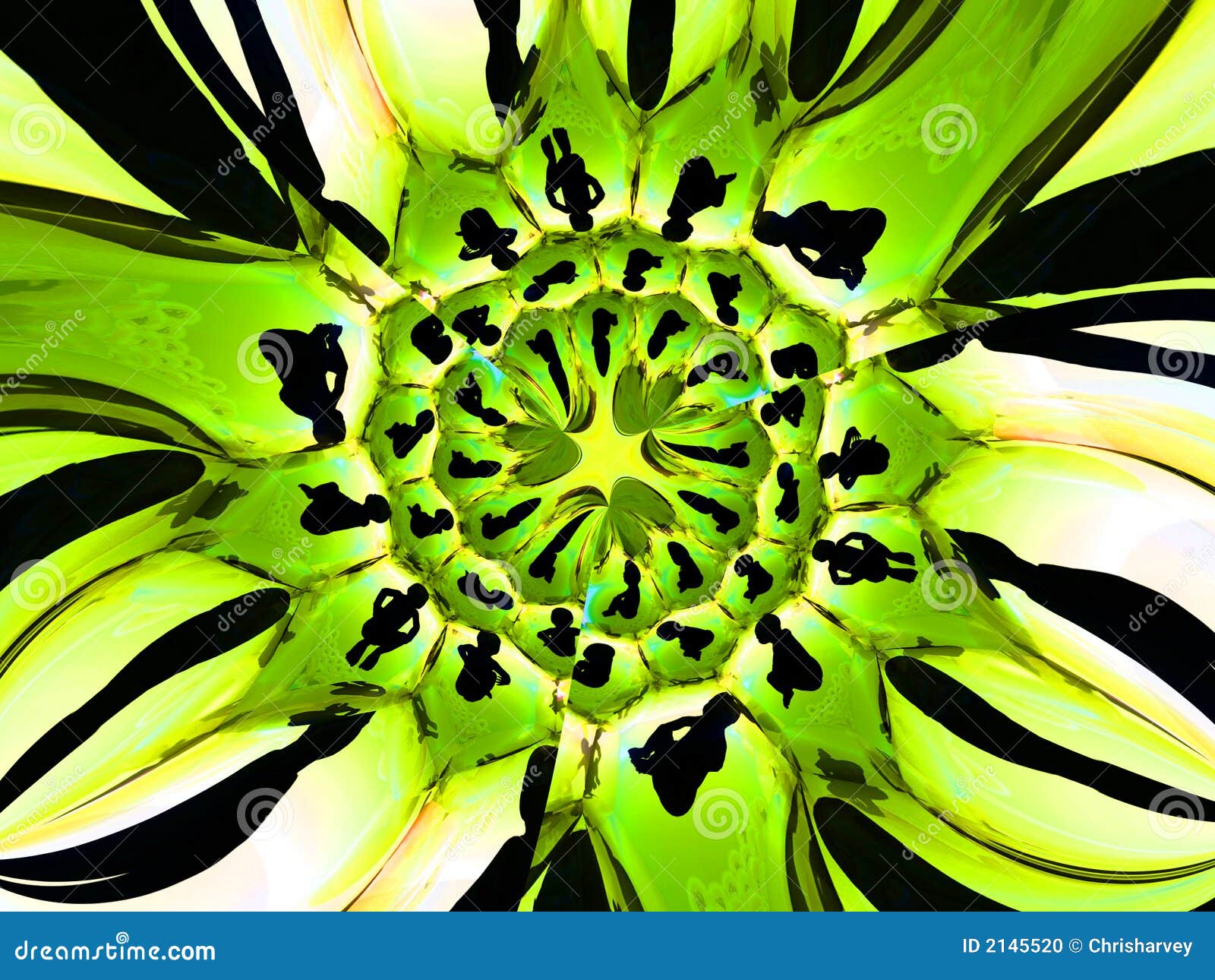 Fertile Egg Cells, The First Stage Of The Birth Of A New Life ...