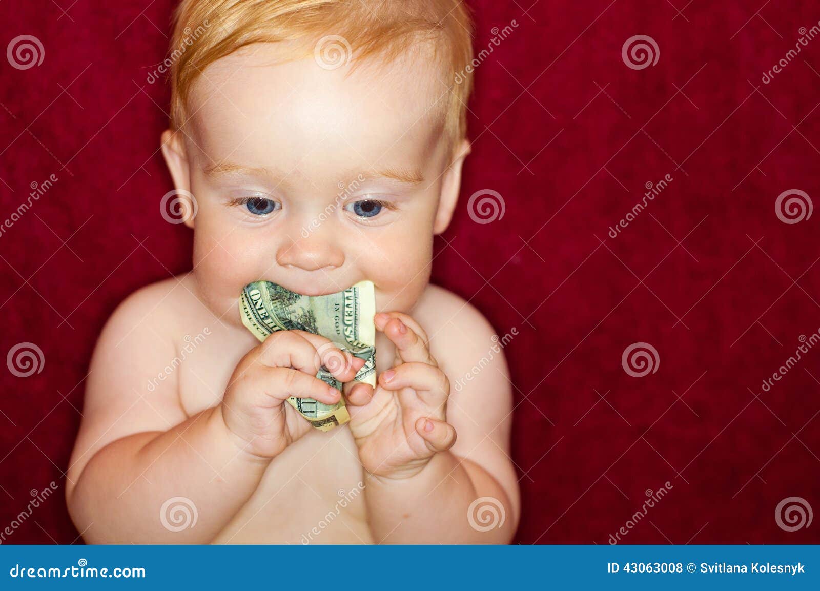 Baby chews dollars stock photo. Image of growing, comfort - 43063008