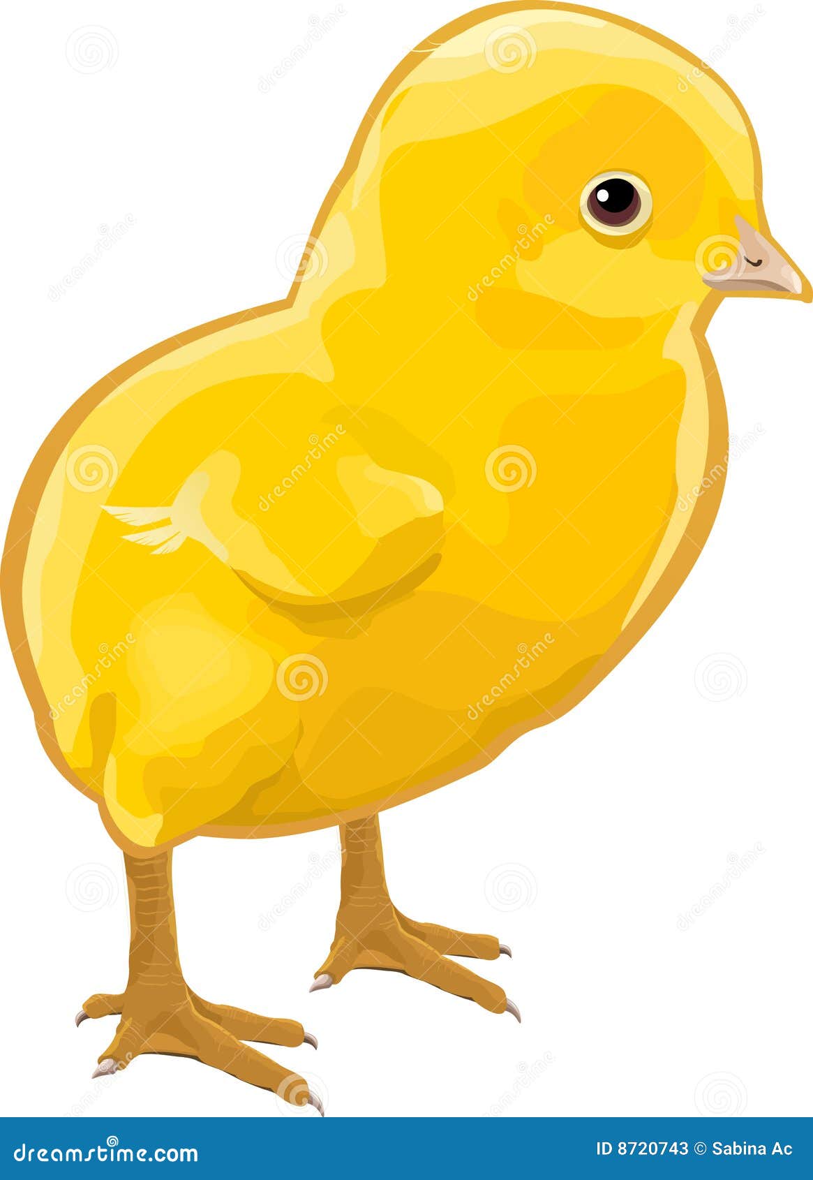 Baby chick stock vector. Illustration of young, wing, vector - 8720743