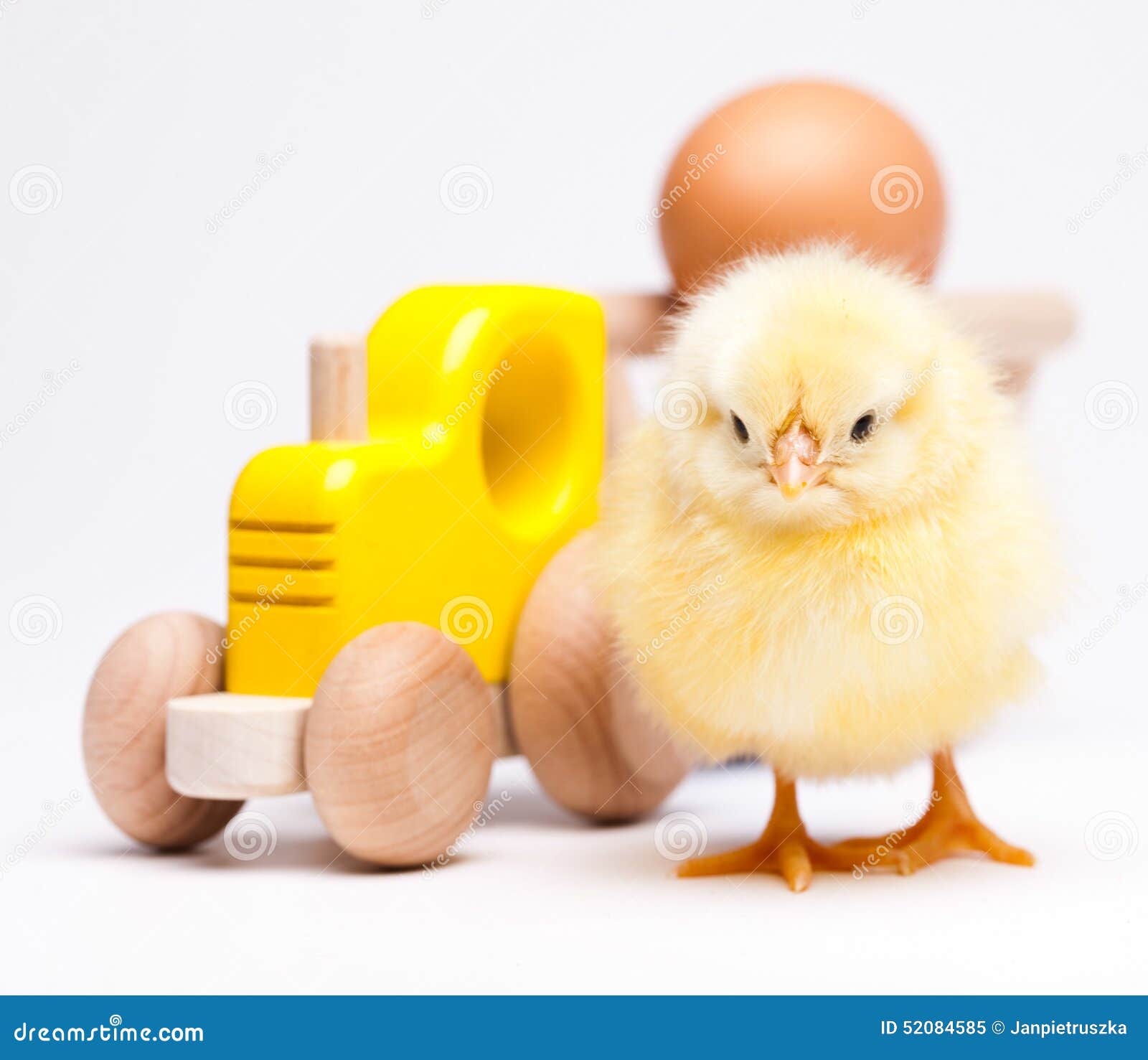 Baby Chick, Springtime Colorful Bright Theme Stock Image - Image of ...