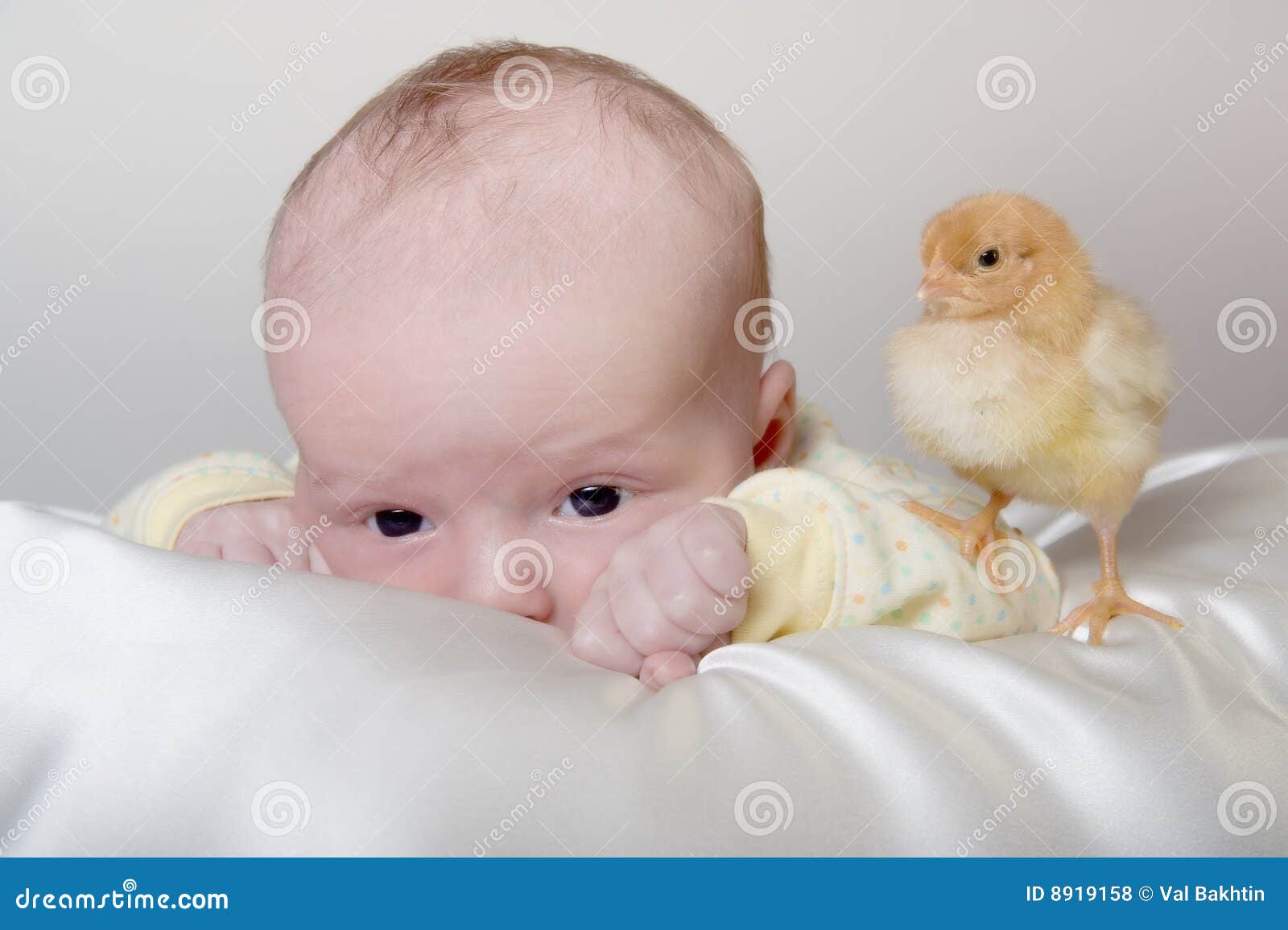 Baby and chicken stock photo. Image of child, infant, baby - 8919158