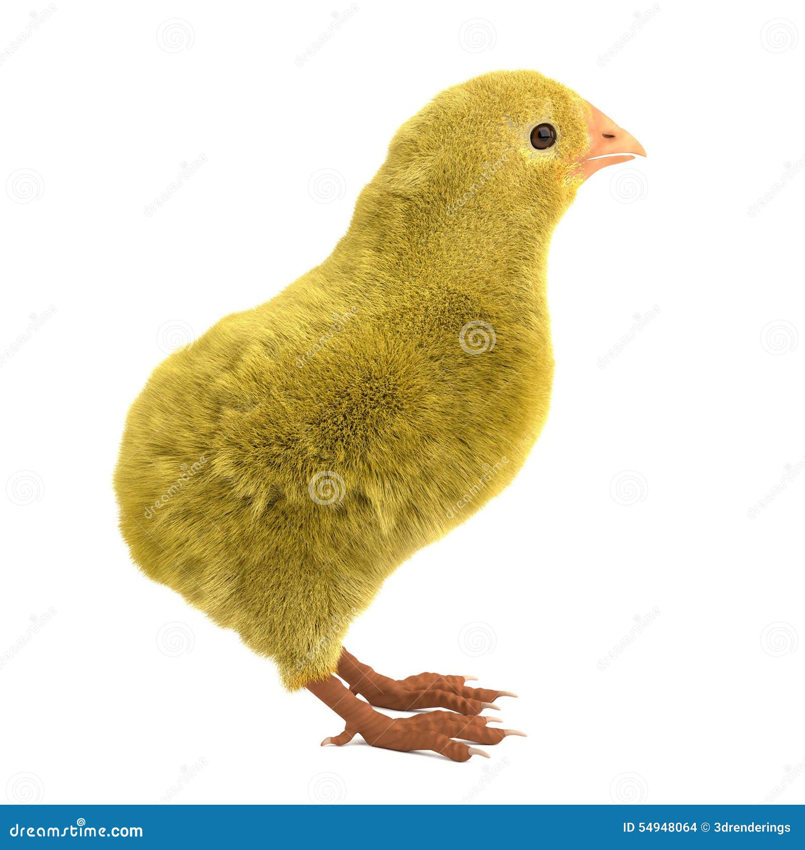 Baby chicken stock illustration. Illustration of cute - 54948064