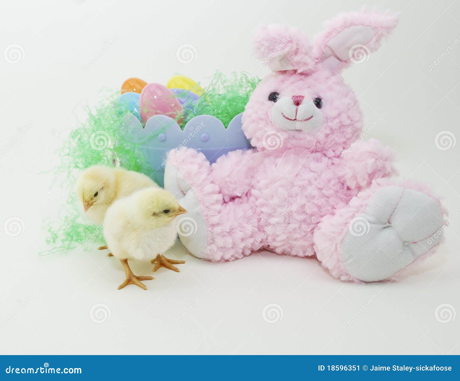 Baby Chicks with Stuffed Easter Bunny Stock Image - Image of cute ...