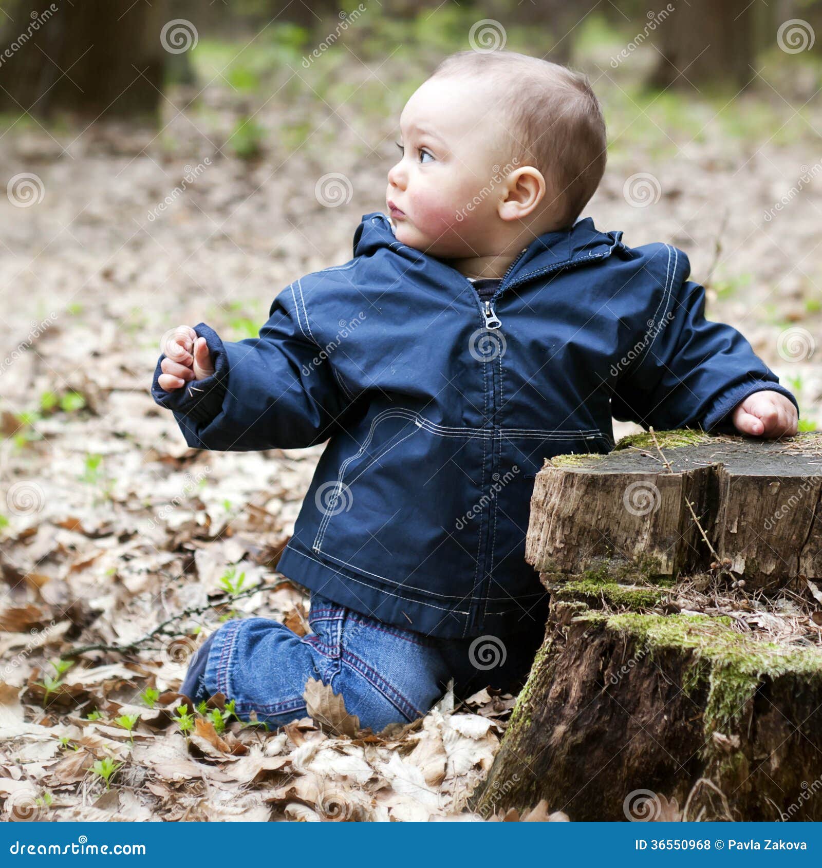 Baby child in forest stock photo. Image of head, looking - 36550968