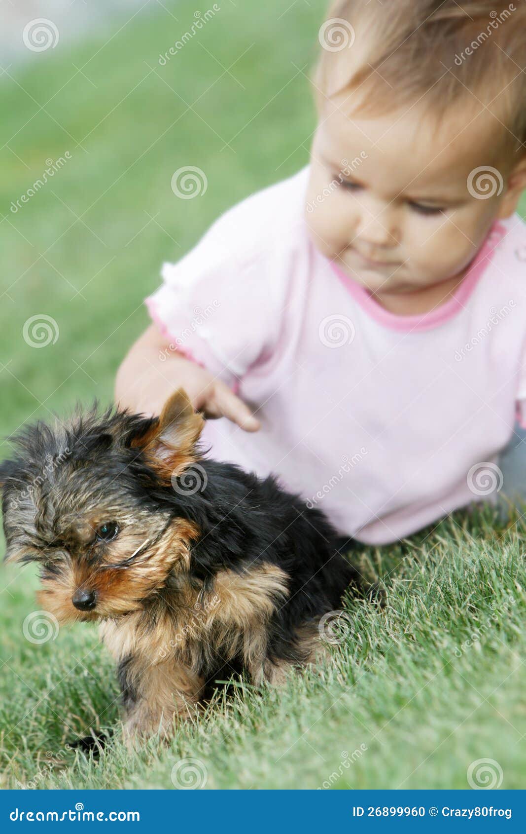 Baby Child and Yorkshire Terrier Stock Photo - Image of companion ...