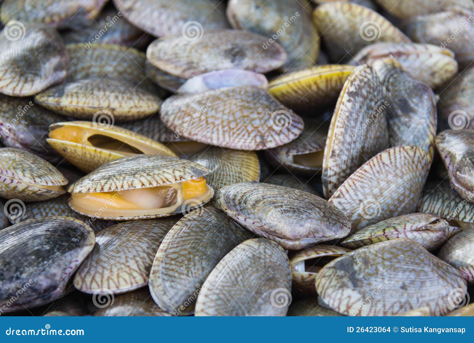 Baby stock photo. Image of seafood, market, asian, cuisine - 26423064