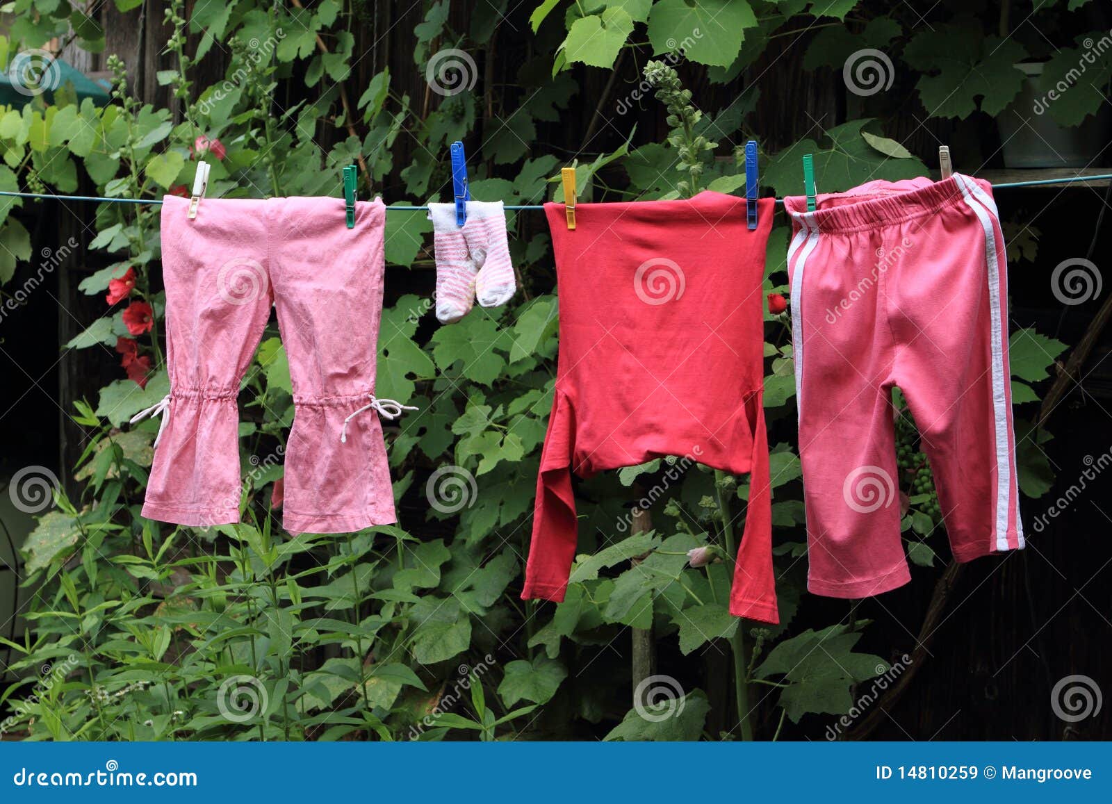Baby Clothes Hanging Clothes Line Stock Image - Image of front, hang ...