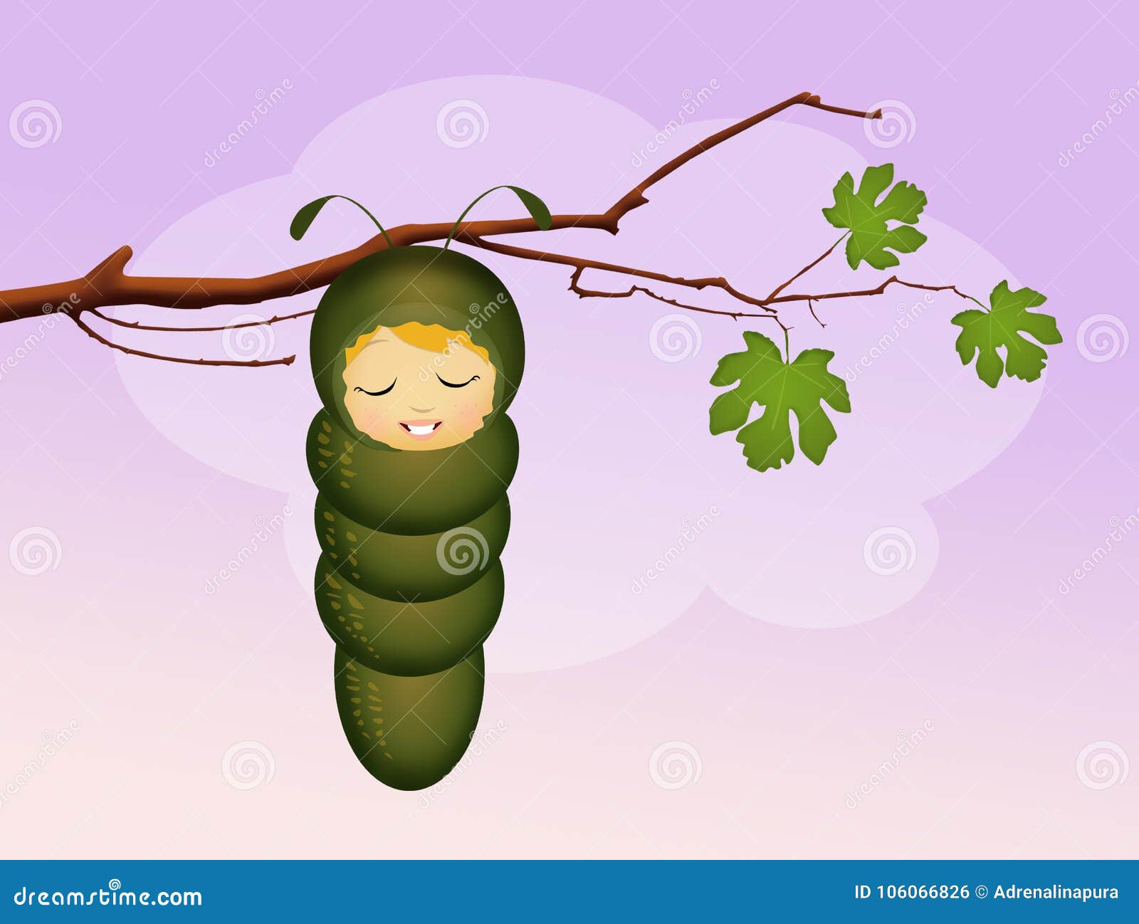 The Birth Of A Cocoon Of Princess Beetles And Butterflies. The ...