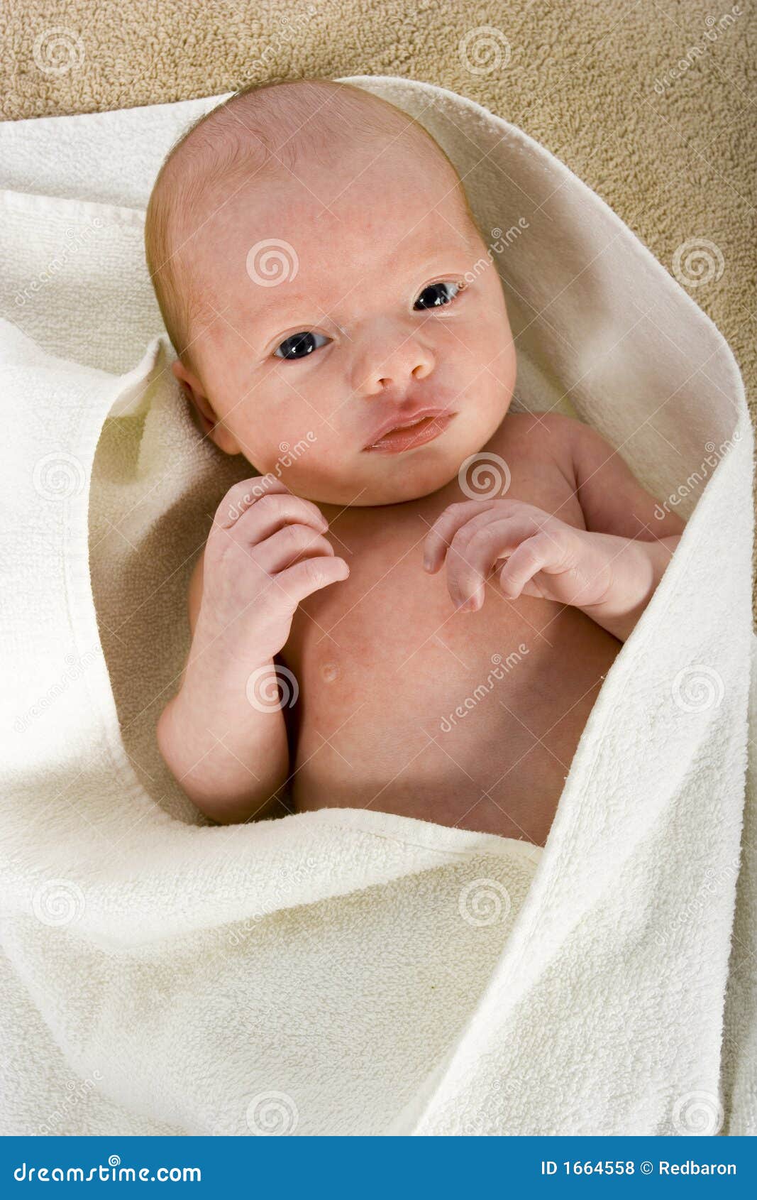Baby cocooned in the towel stock photo. Image of people - 1664558