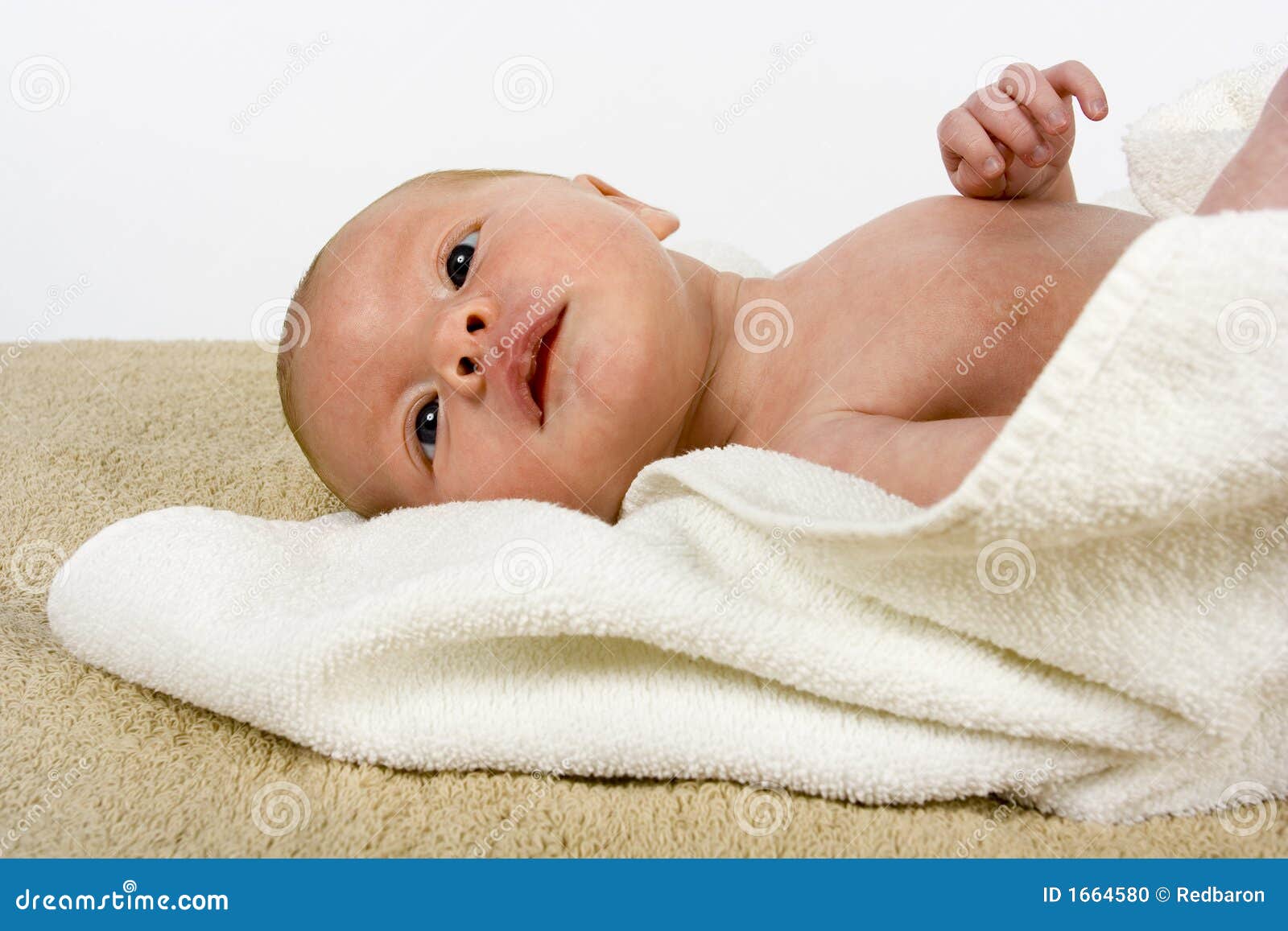 Baby Cocooned In The Towel Picture. Image: 1664580