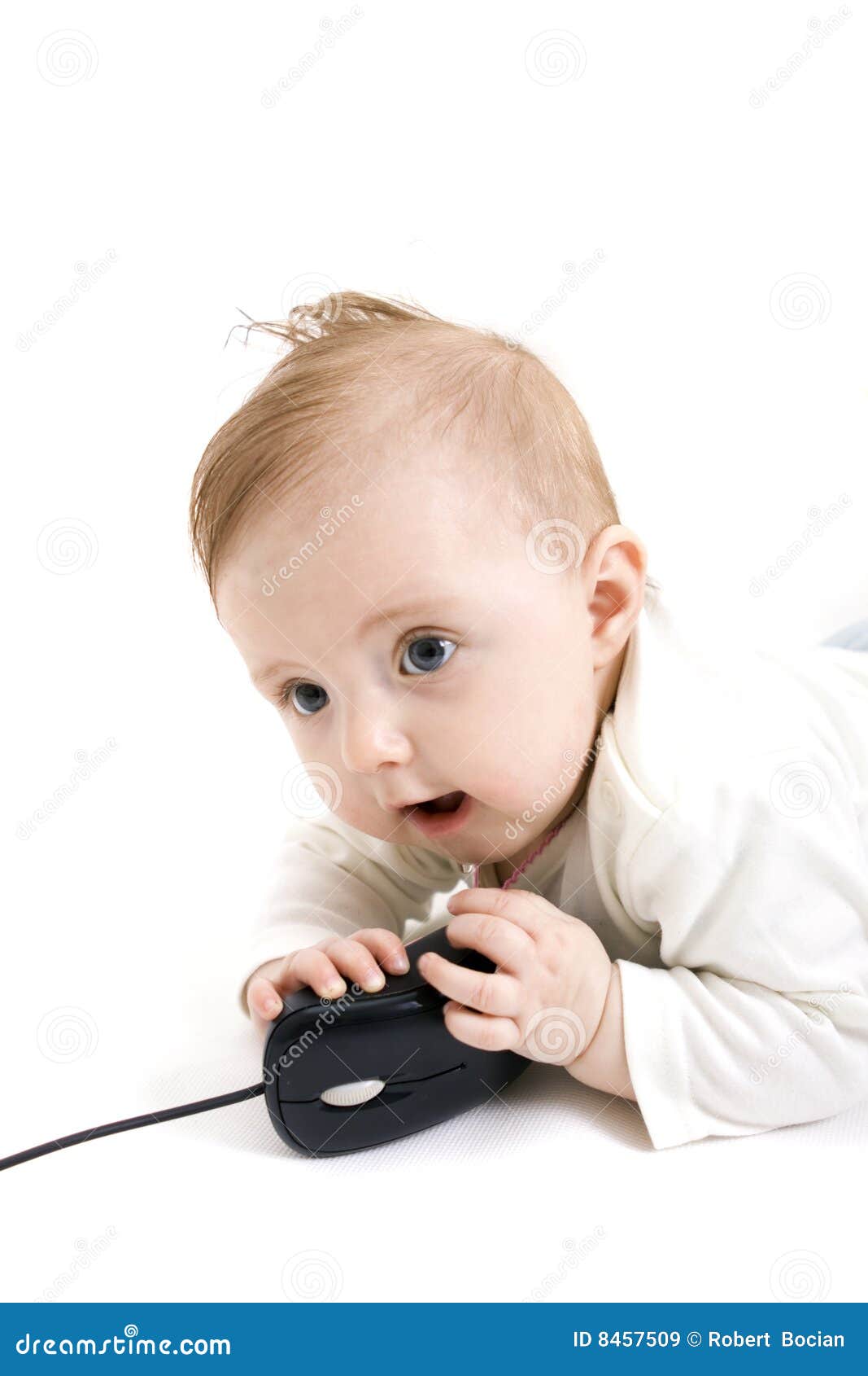 Babe Mouse Stock Photos - Free & Royalty-Free Stock Photos from Dreamstime