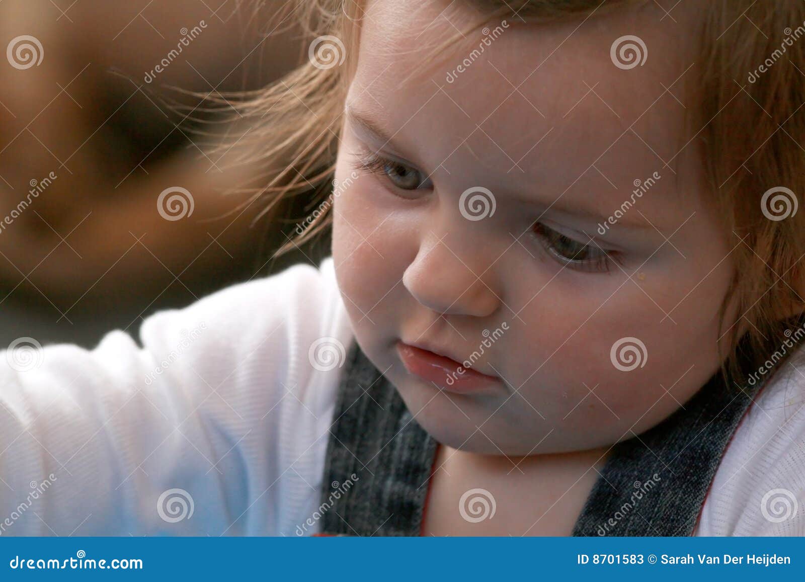 Baby concentrating stock image. Image of attractive, lovely - 8701583