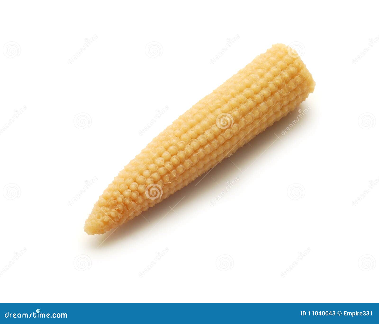 Baby corn stock image. Image of agriculture, natural - 11040043