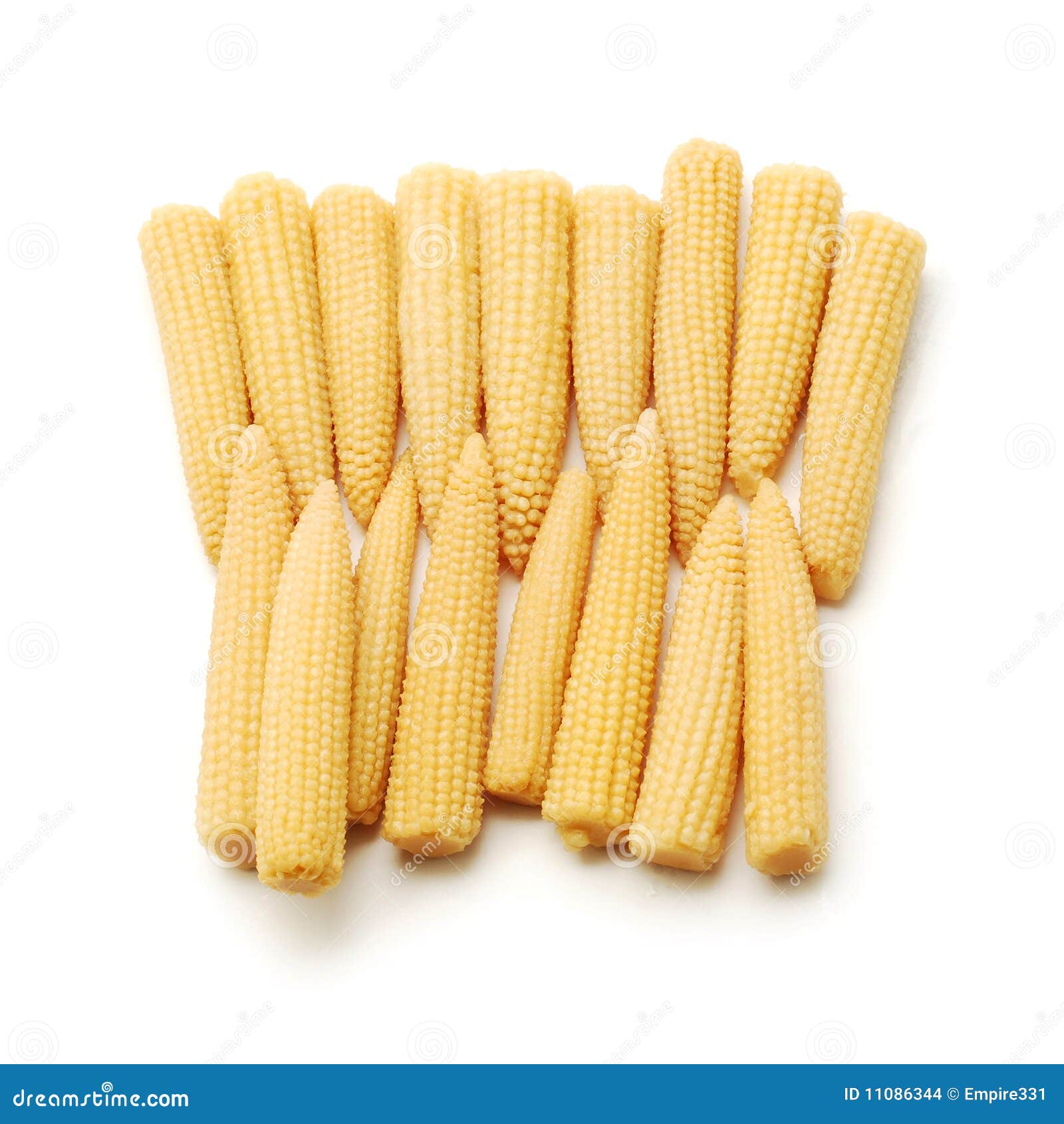 Baby corn stock photo. Image of nutrition, sweet, food - 11086344